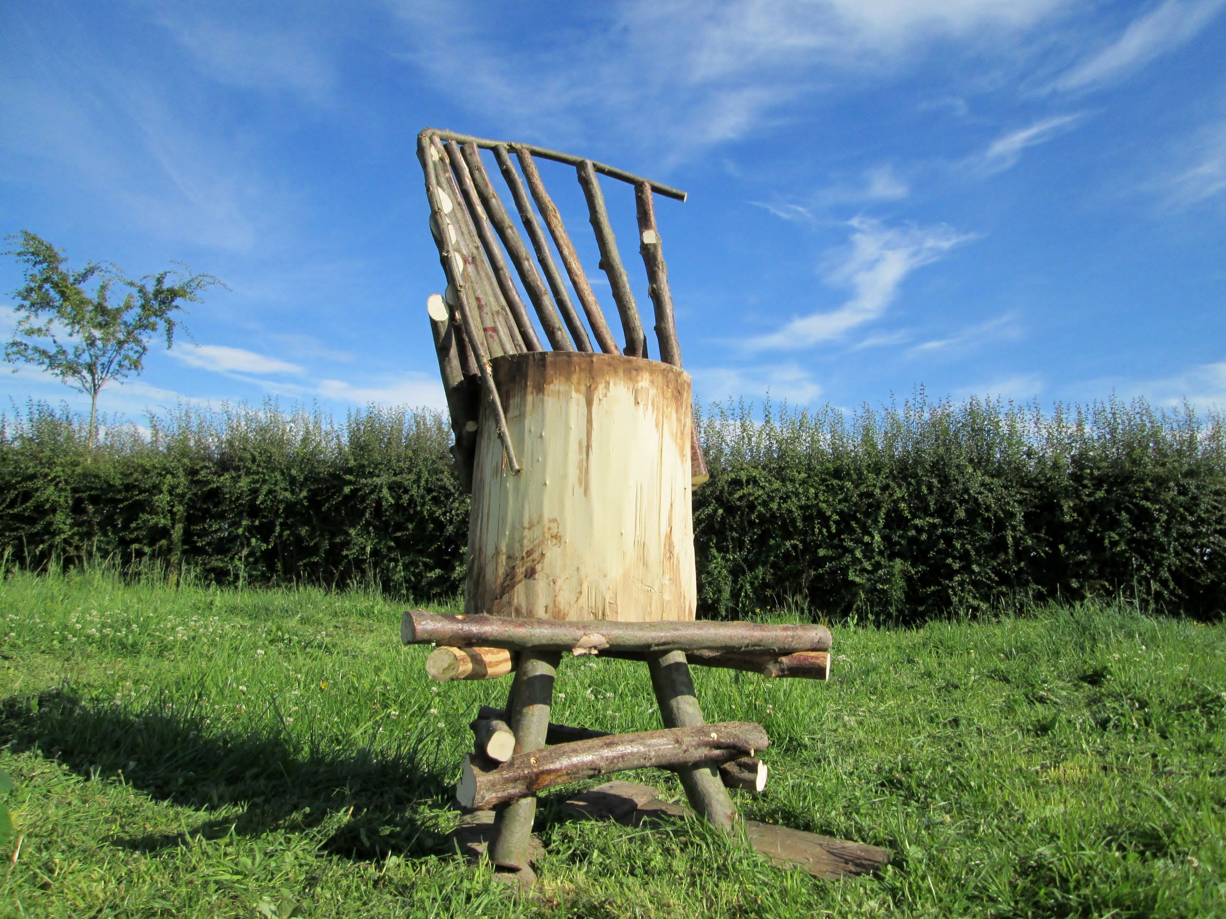 Stump Throne : 5 Steps (with Pictures) - Instructables