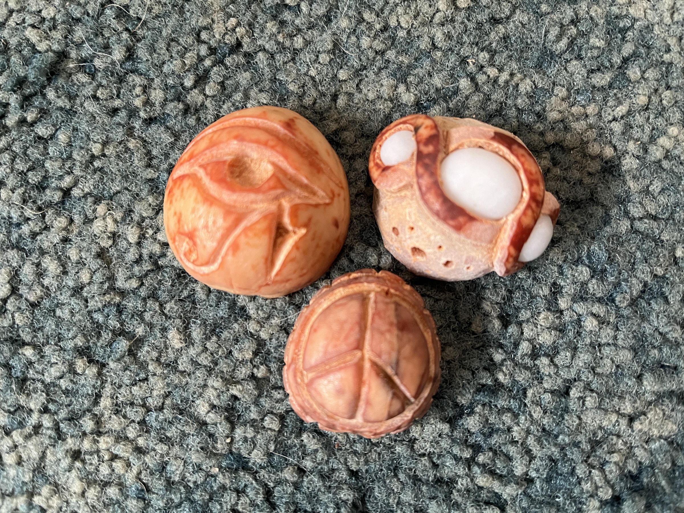 How to Carve Avocado Pits : 4 Steps (with Pictures) - Instructables