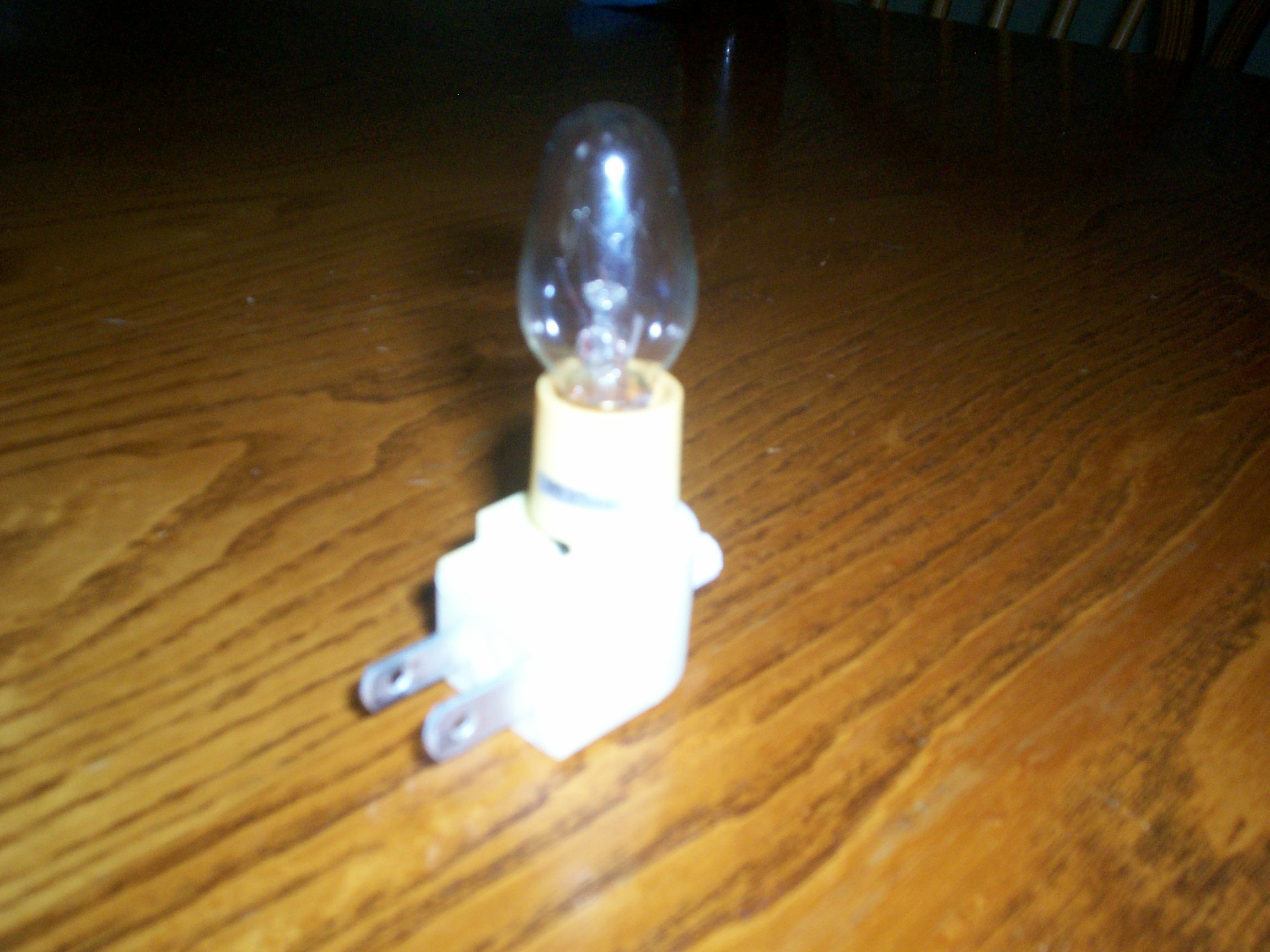 Home Made Flea Trap : 4 Steps - Instructables
