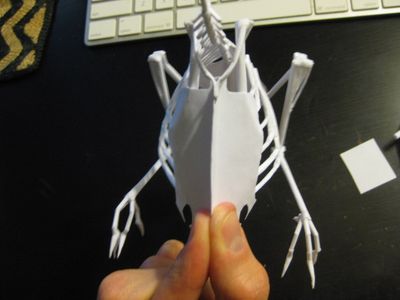 Paper Crow Skeleton : 13 Steps (with Pictures) - Instructables