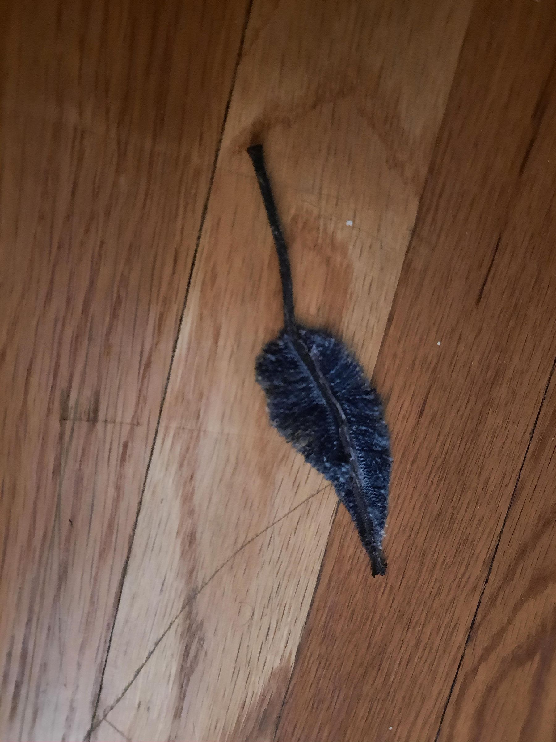 Upcycled Denim Feathers : 6 Steps (with Pictures) - Instructables