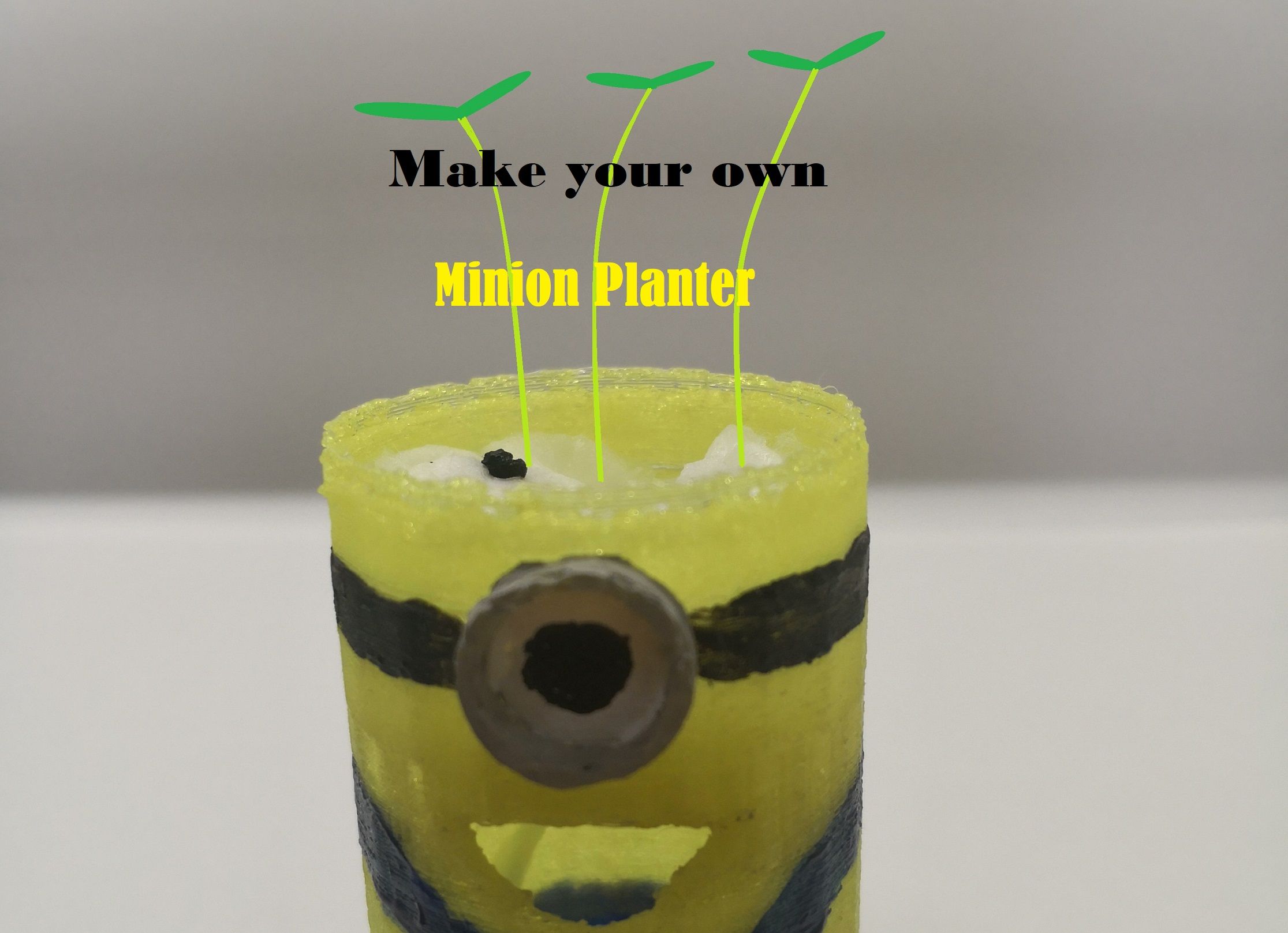 Minion Planter : 11 Steps - Instructables