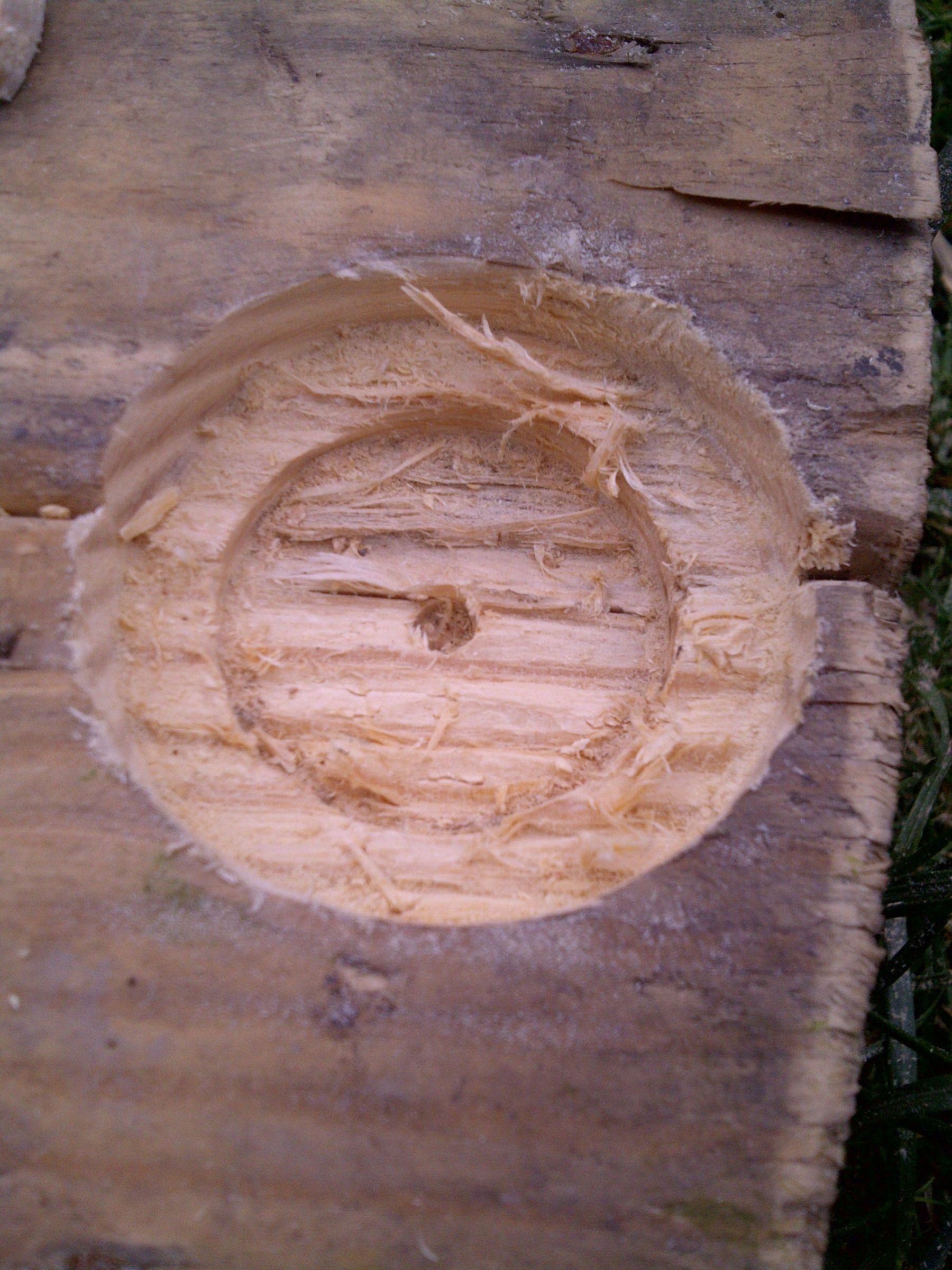 Cable Spool Duck House : 7 Steps (with Pictures) - Instructables