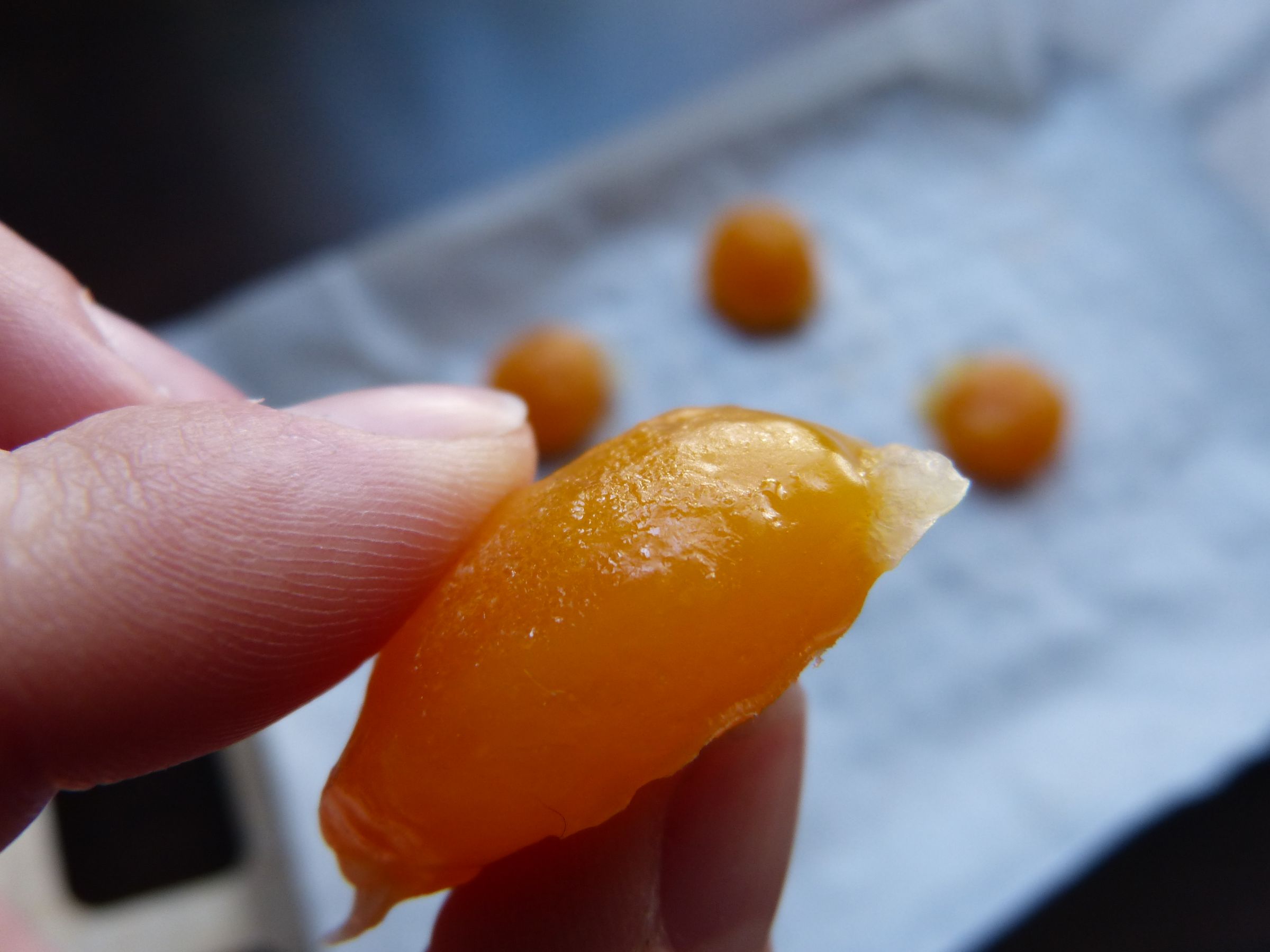 Delicious Cured Egg Yolks : 6 Steps (with Pictures) - Instructables