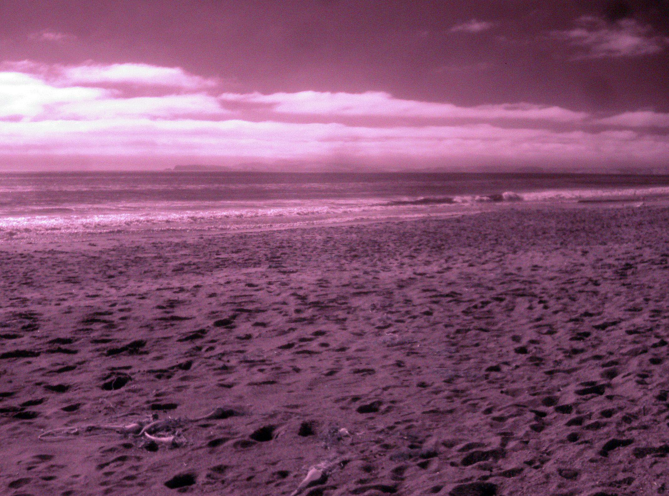 Infrared Digital Camera - the Real Way : 8 Steps (with Pictures ...