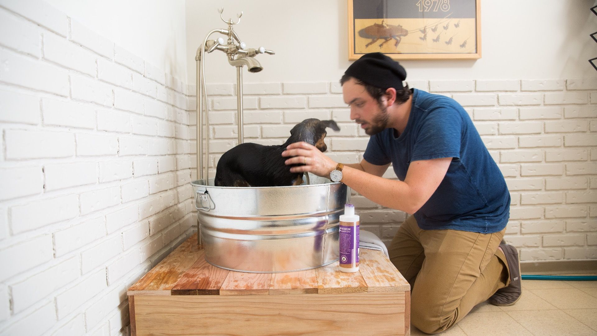 Dog Washing Station : 10 Steps (with Pictures) - Instructables