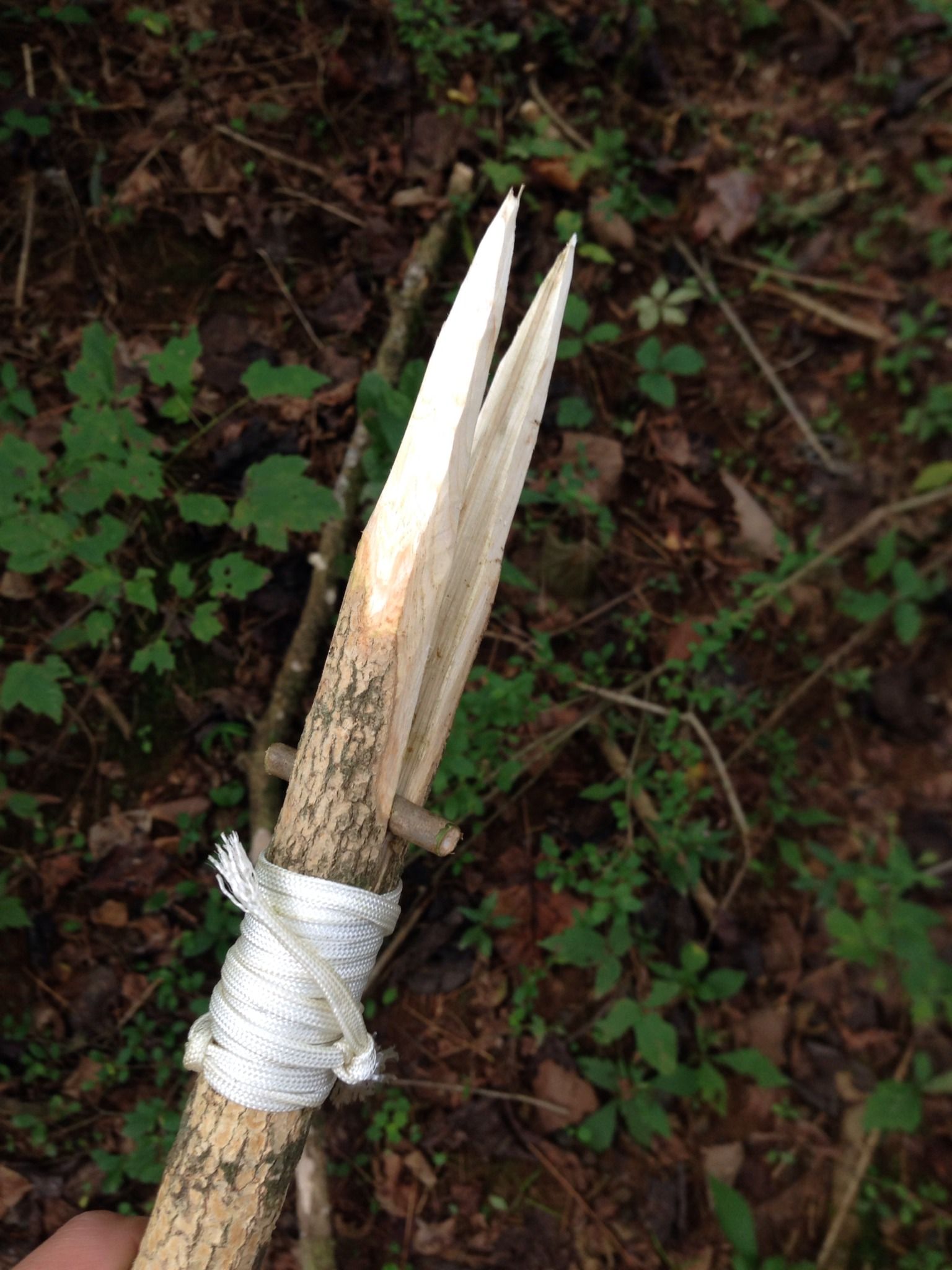 Two-Pronged Hunting Spear : 5 Steps (with Pictures) - Instructables