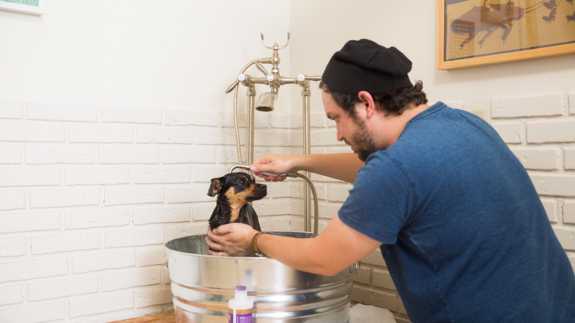 Dog Washing Station : 10 Steps (with Pictures) - Instructables