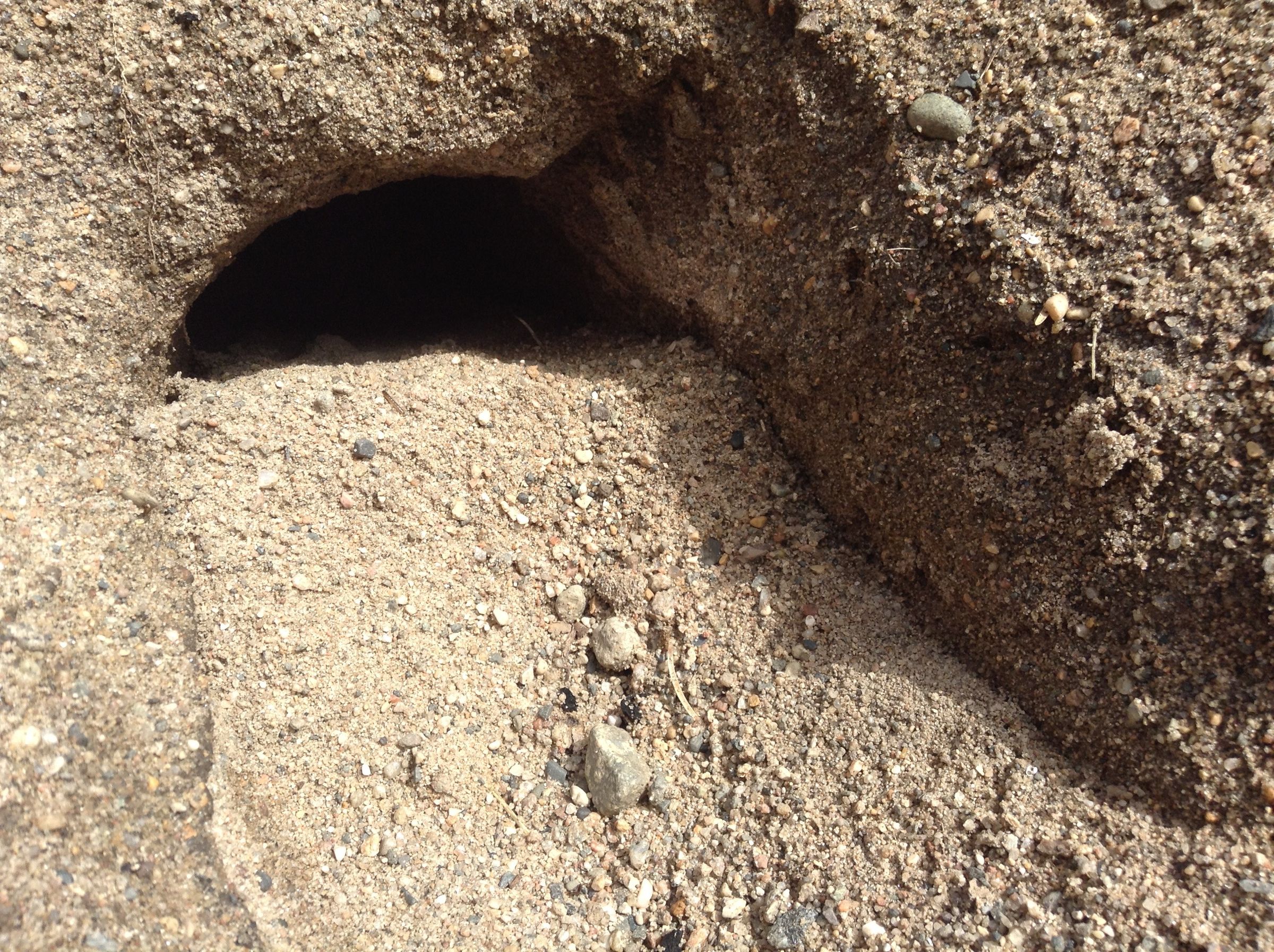 Sand Rocket Stove : 8 Steps - Instructables