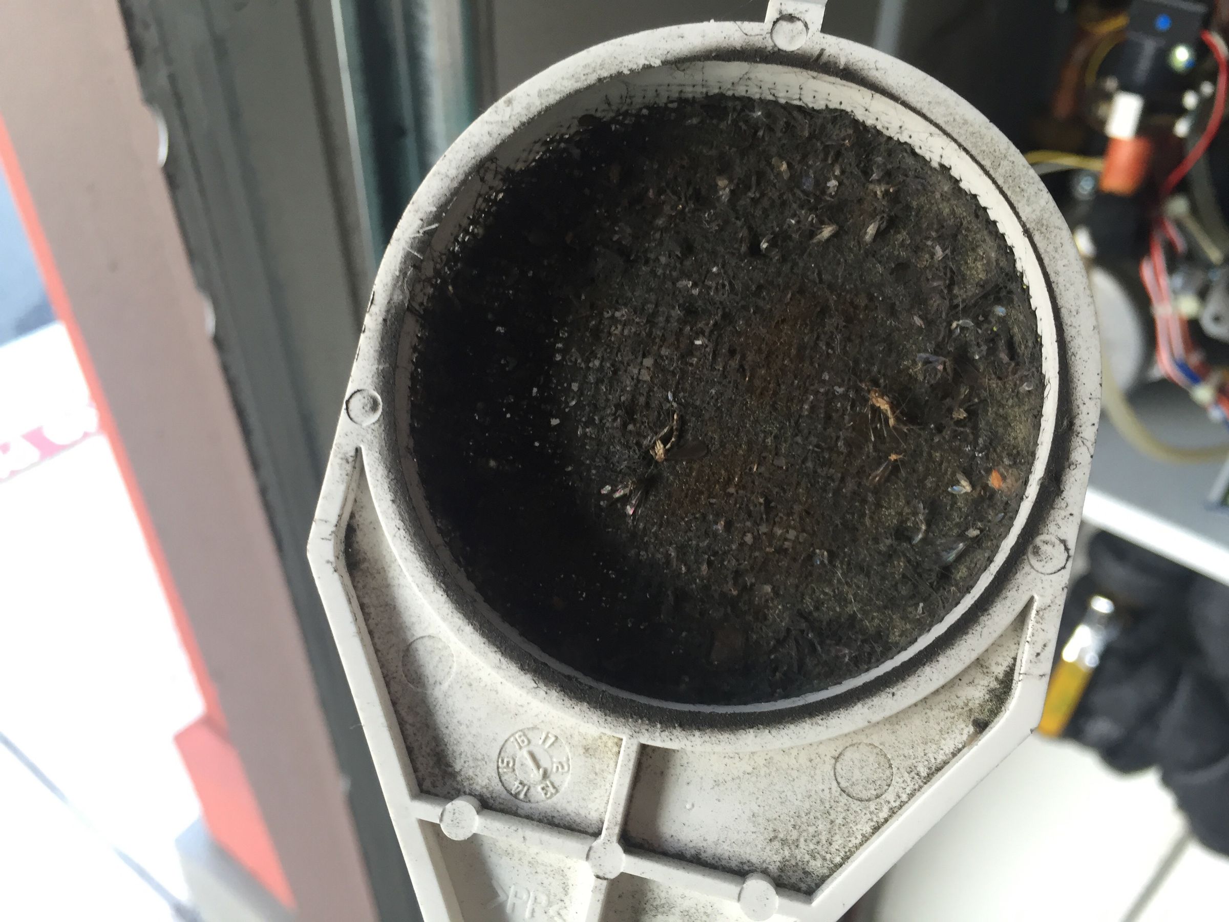How to Flush a Tankless Water Heater and Clean the Air Intake Filter ...