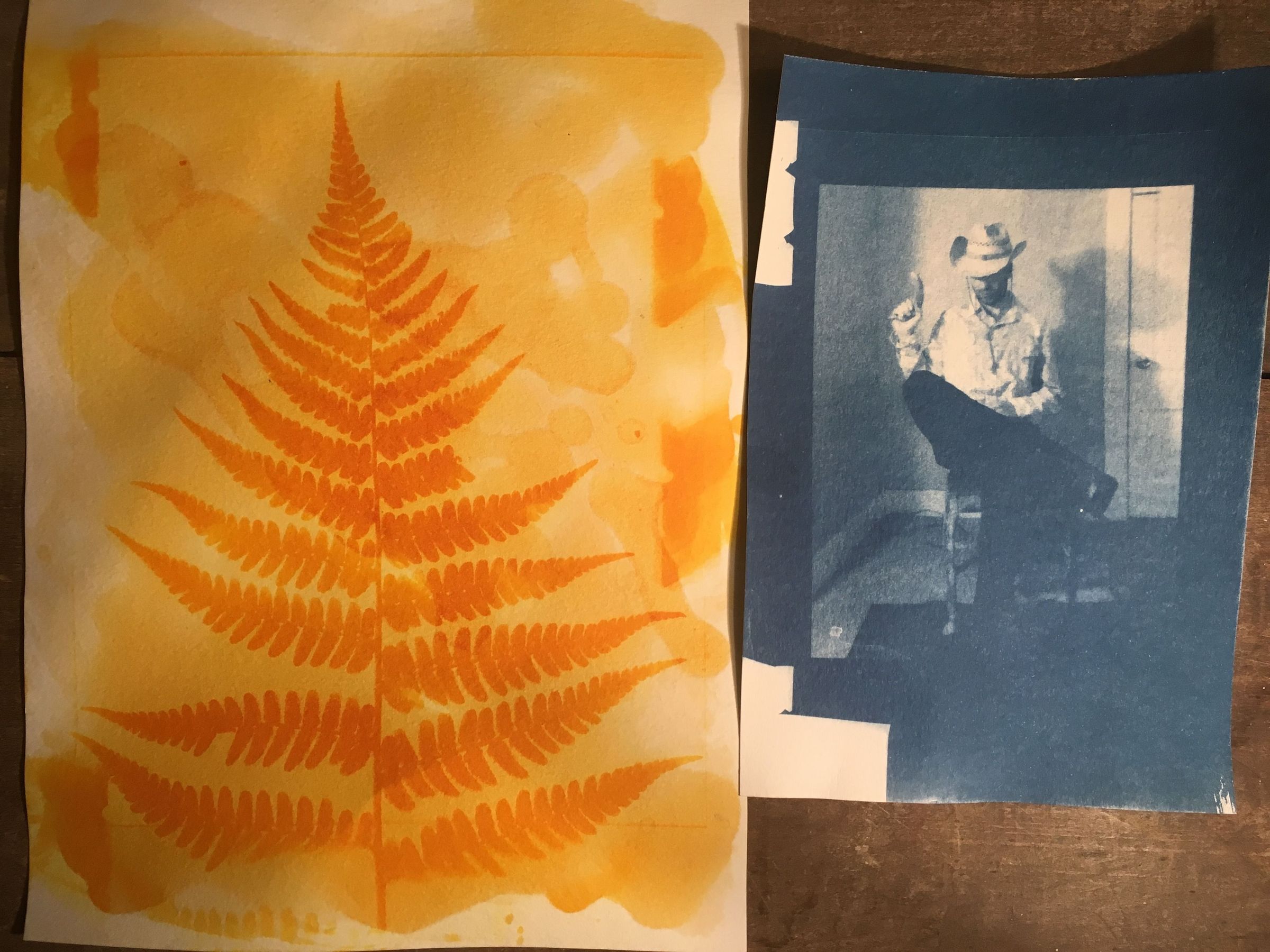 Alternative Photography: Anthotype & Cyanotype : 5 Steps (with Pictures ...