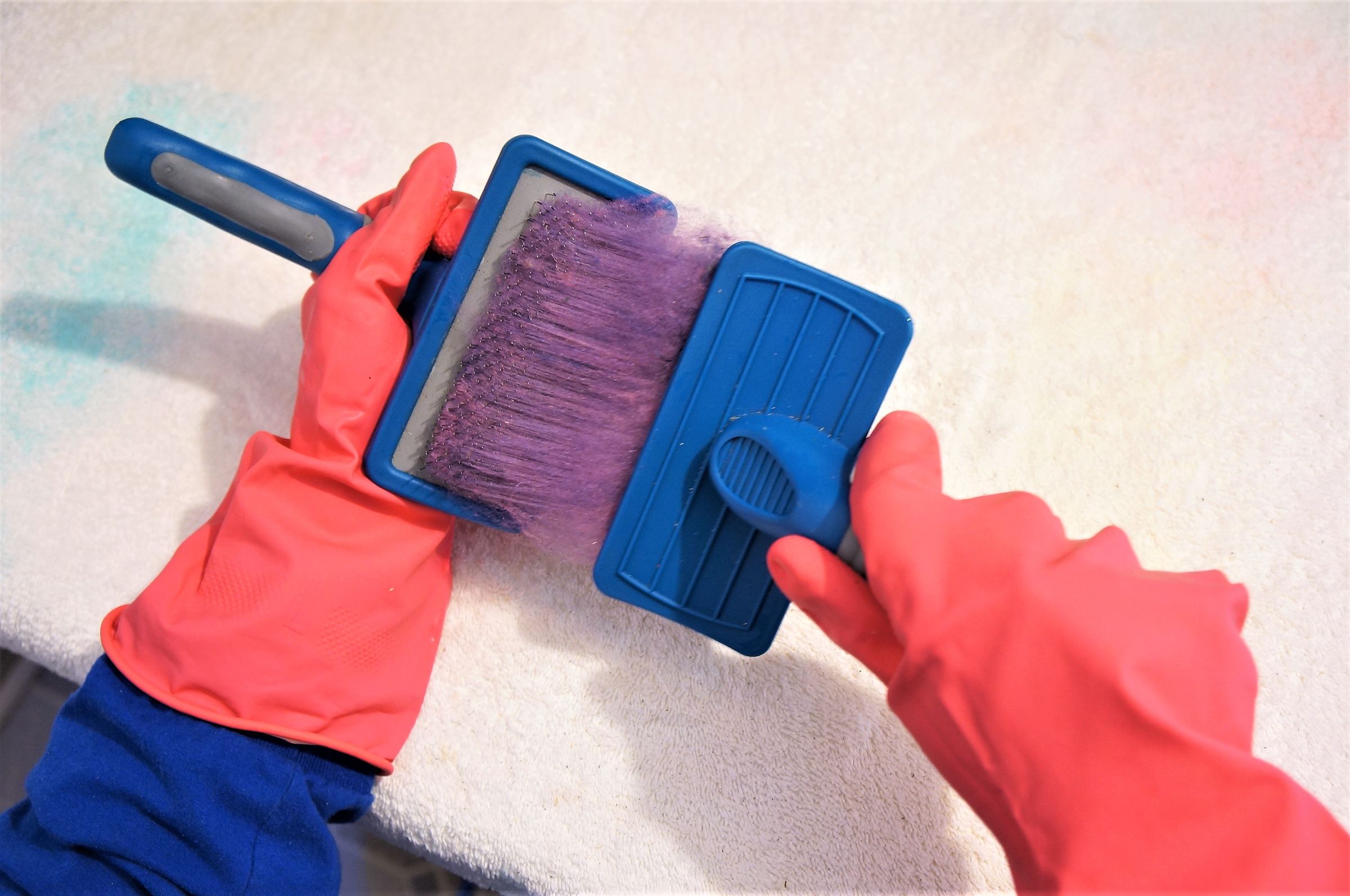 How to Process Card and Dye Raw Wool : 12 Steps (with Pictures ...