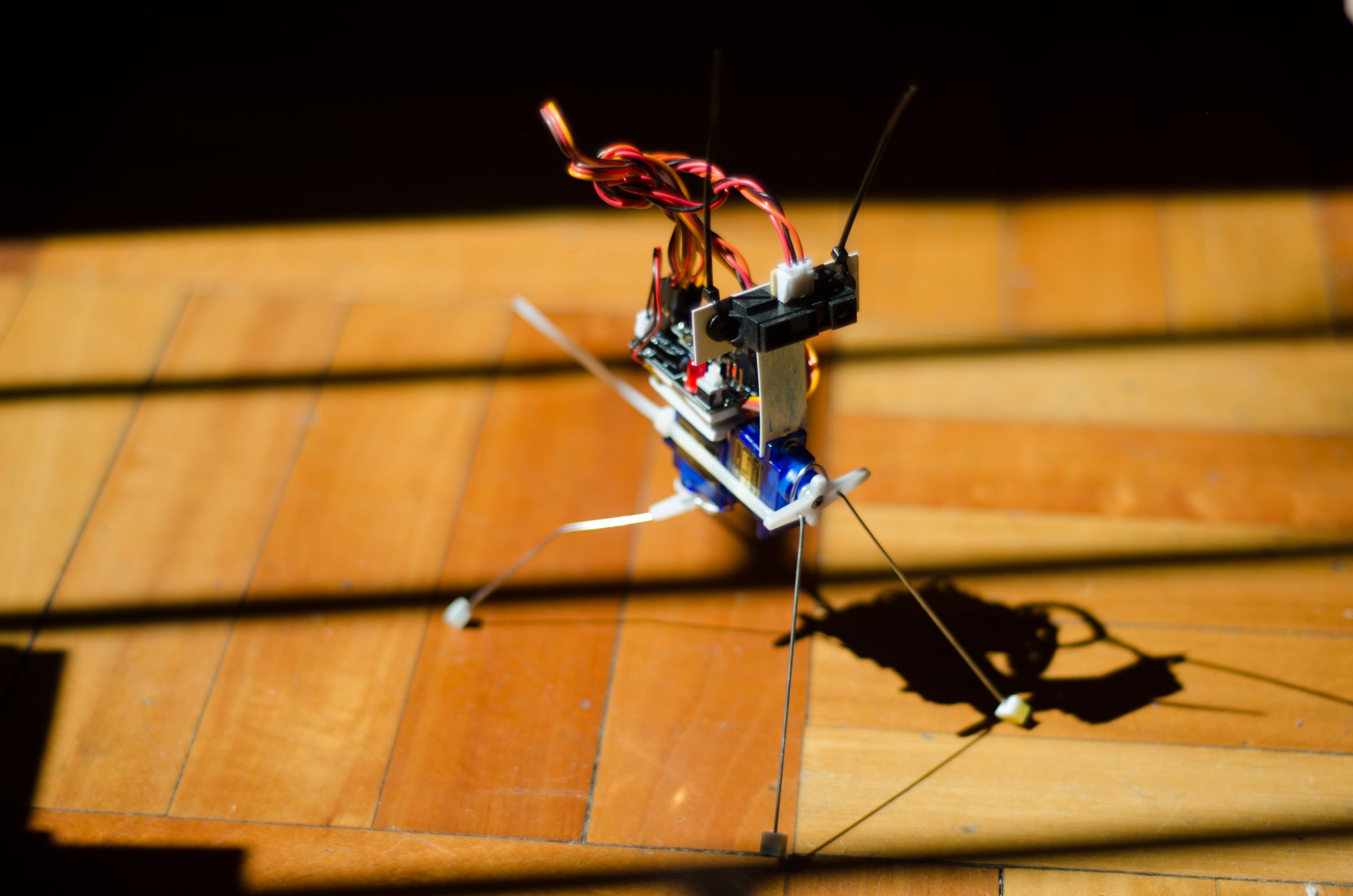 Insect Bot Mini : 12 Steps - Instructables