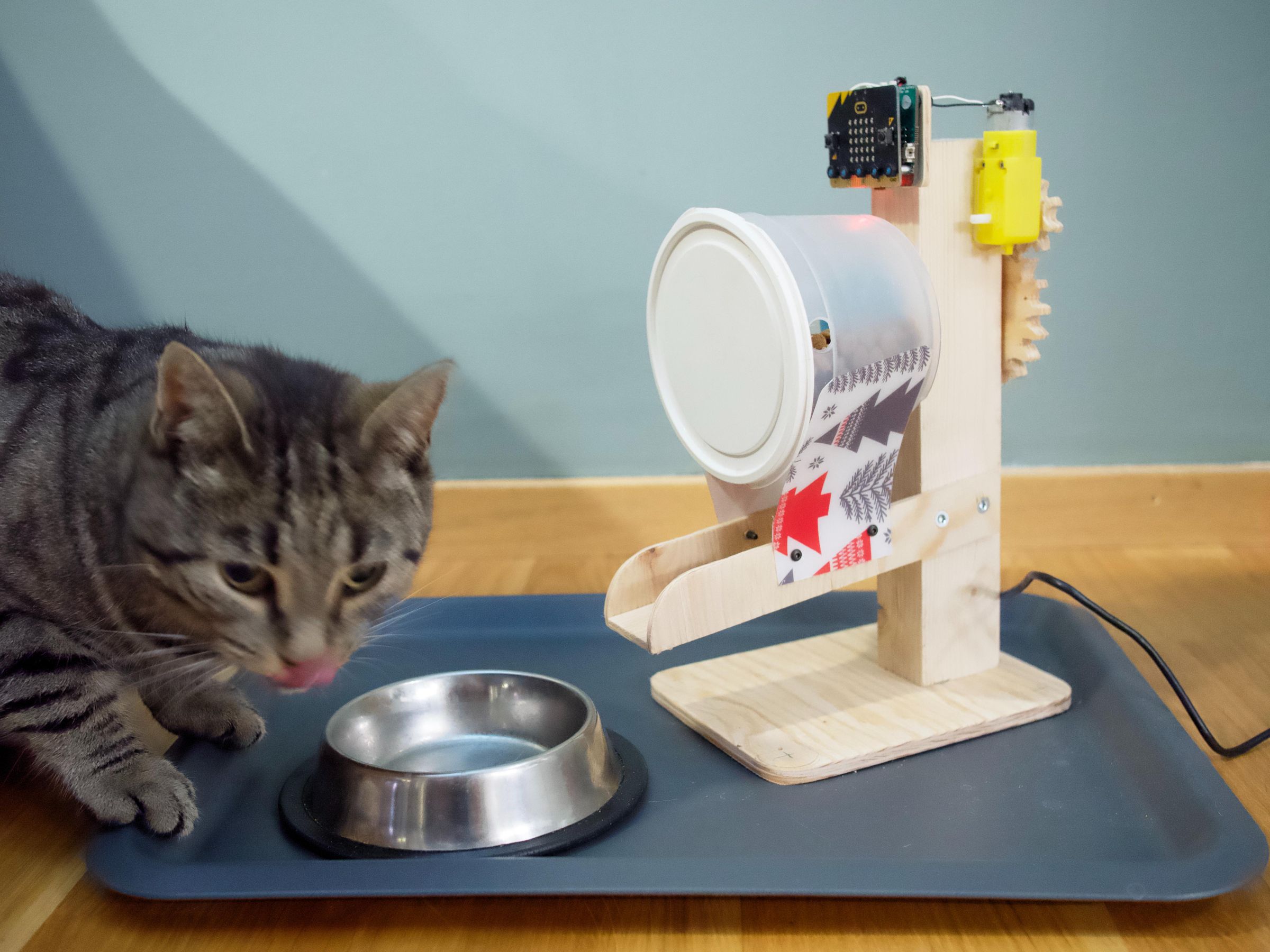 Simple and Reliable Cat Feeder With Block Programming : 14 Steps (with ...