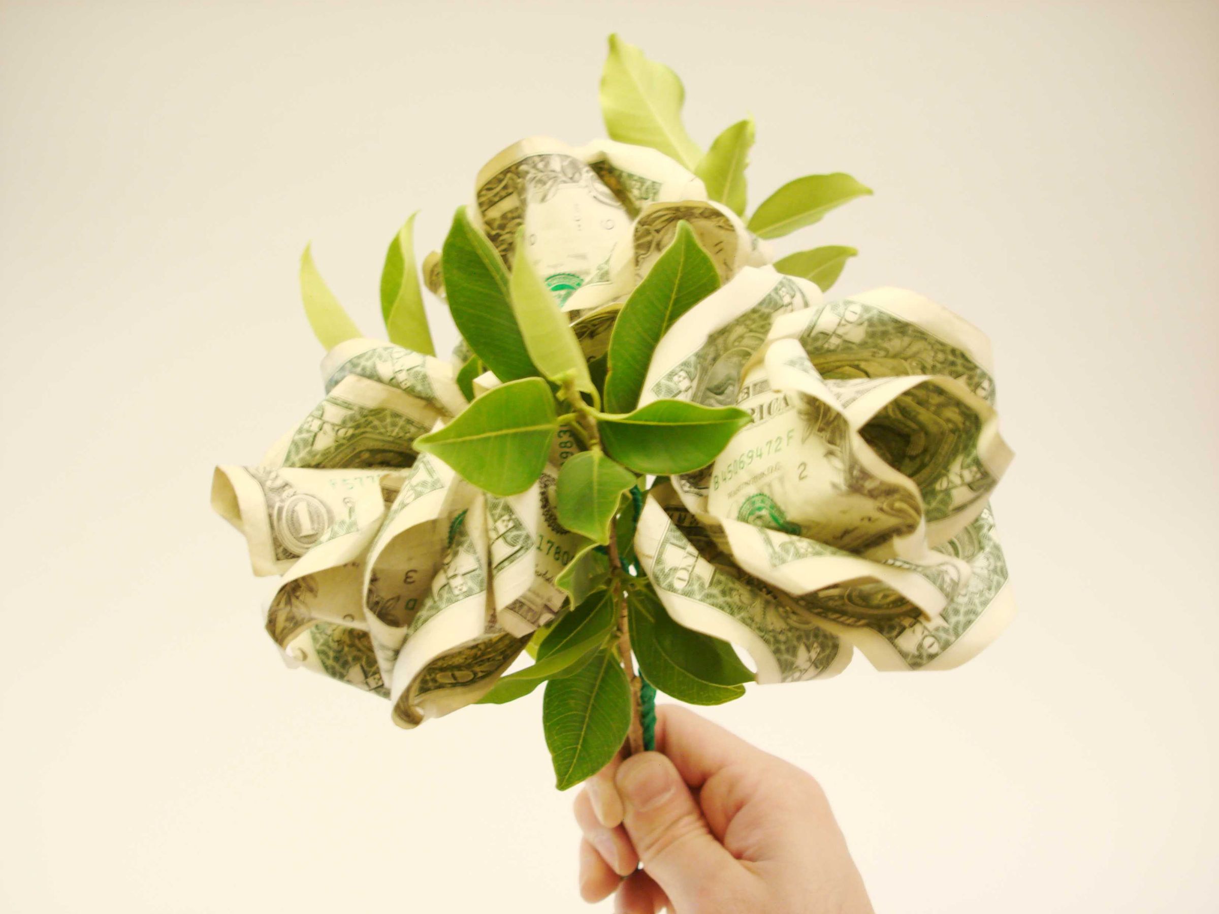 Dollar Bill Flower Bouquet : 7 Steps (with Pictures) - Instructables