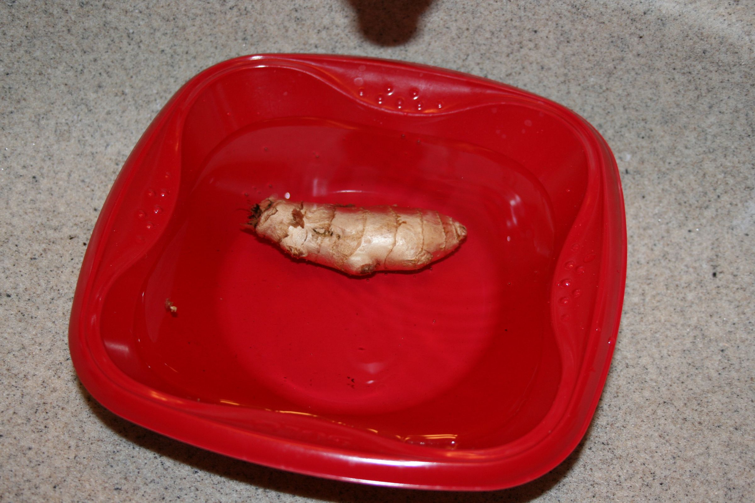 Grow Ginger As a Houseplant : 5 Steps - Instructables