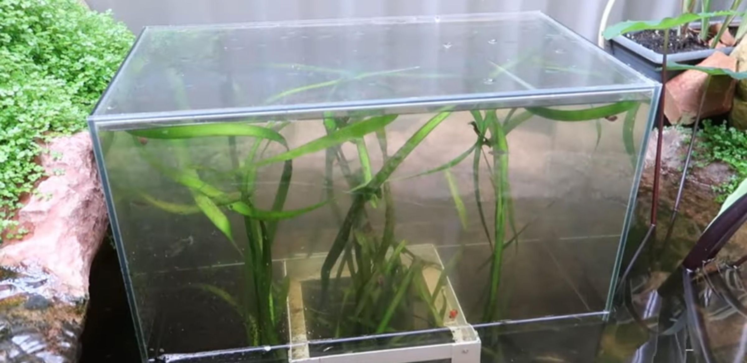 Inverted Fish Tank Tower : 5 Steps (with Pictures) - Instructables