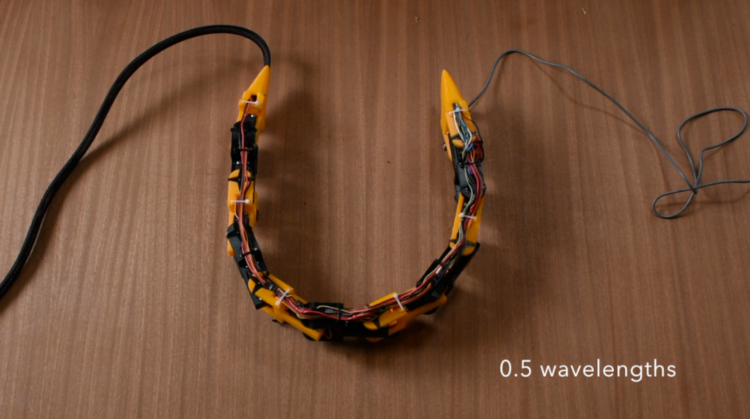 Bioinspired Robotic Snake : 16 Steps (with Pictures) - Instructables