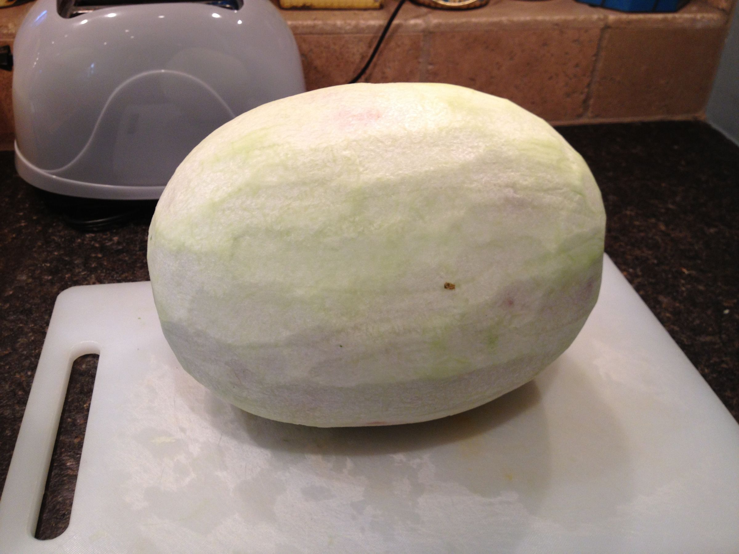 Watermelon Brain : 6 Steps (with Pictures) - Instructables