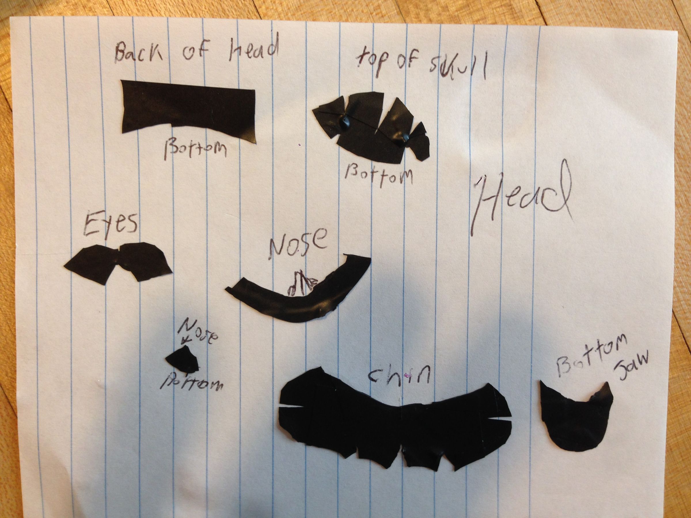 The Ultimate Sully Costume : 7 Steps (with Pictures) - Instructables