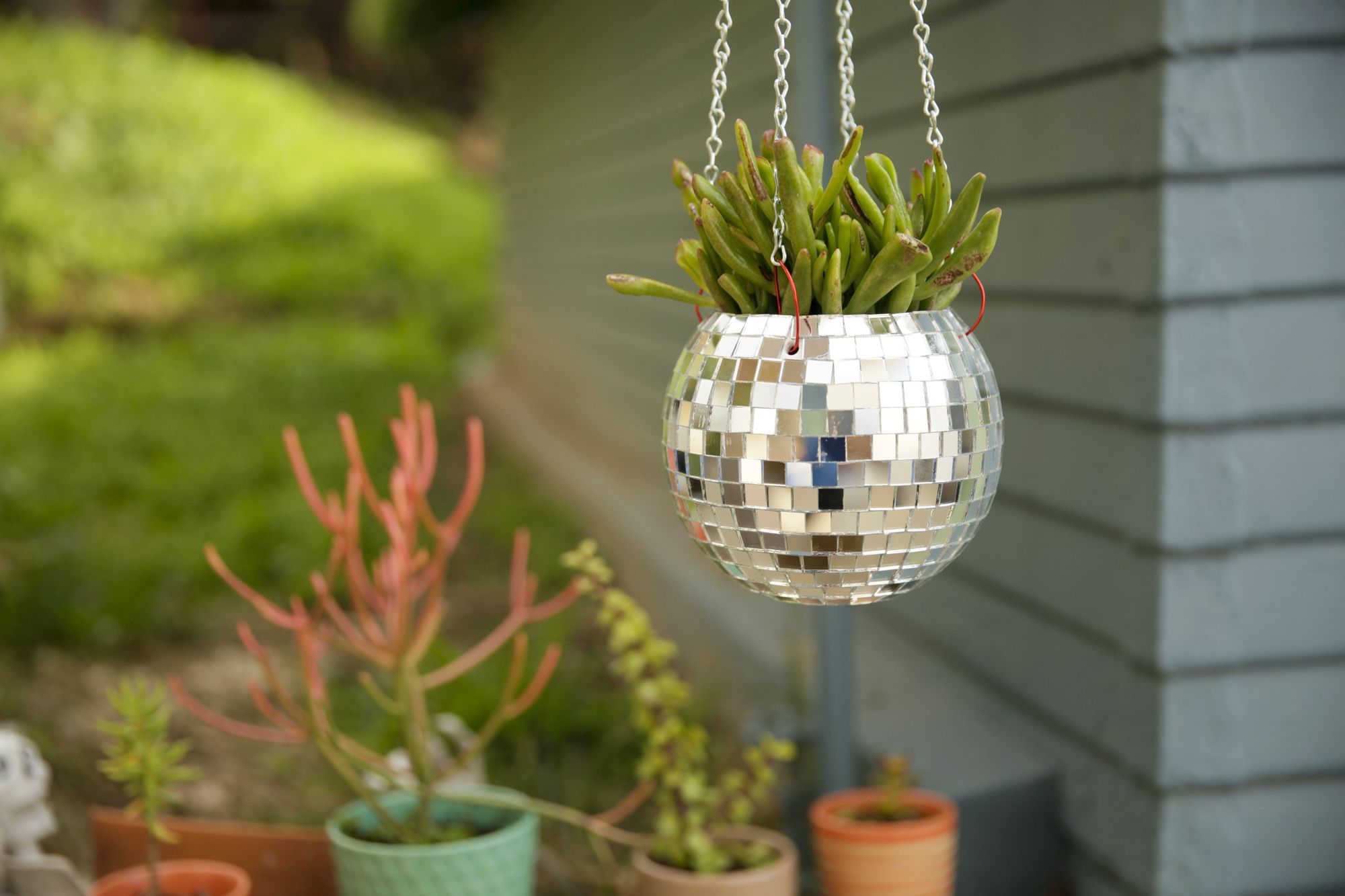 Home & Living Disco Plant Pot 6 indoor planter decorative planter for ...