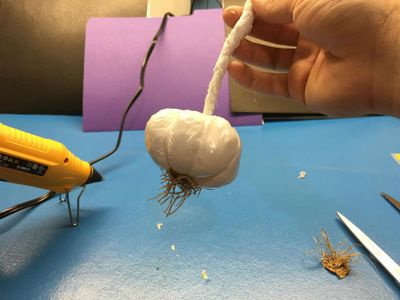 How to Make Fake Garlic With Plastic Bags : 6 Steps (with Pictures ...