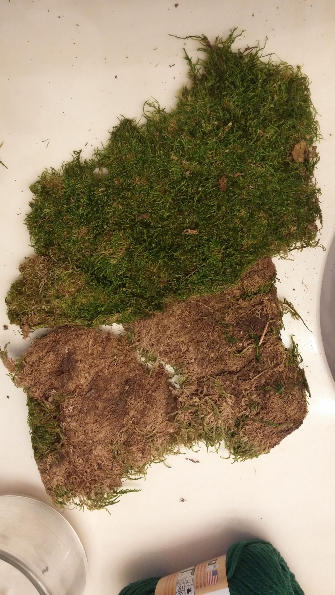 My String Garden : 3 Steps (with Pictures) - Instructables