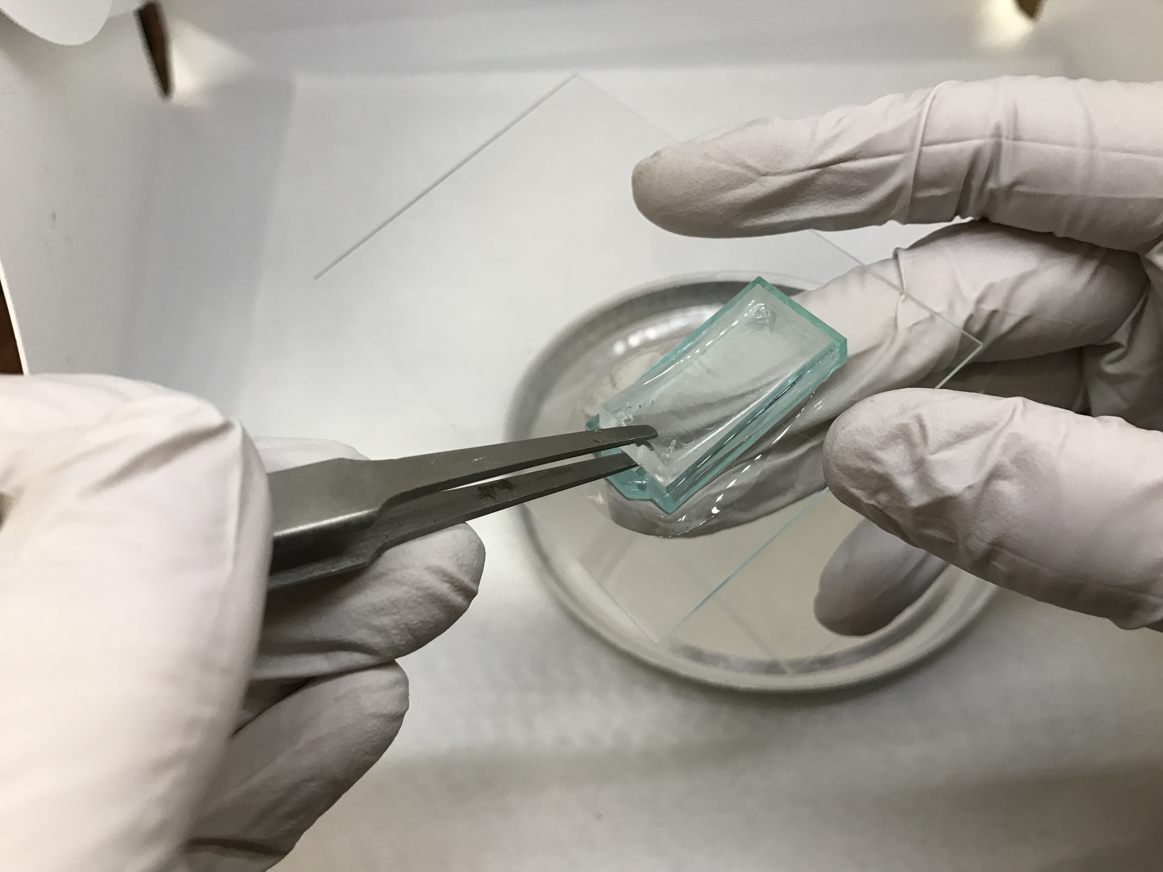 Making a PDMS Microfluidic Device With Maskless Molds : 7 Steps (with ...