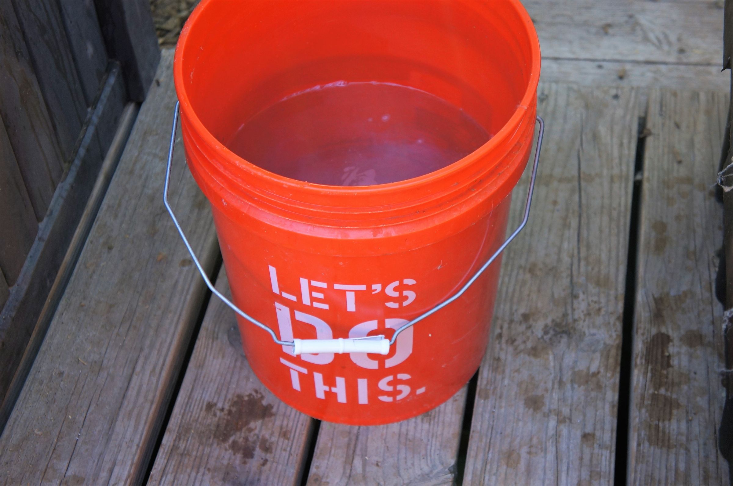 How to Process Card and Dye Raw Wool : 12 Steps (with Pictures ...