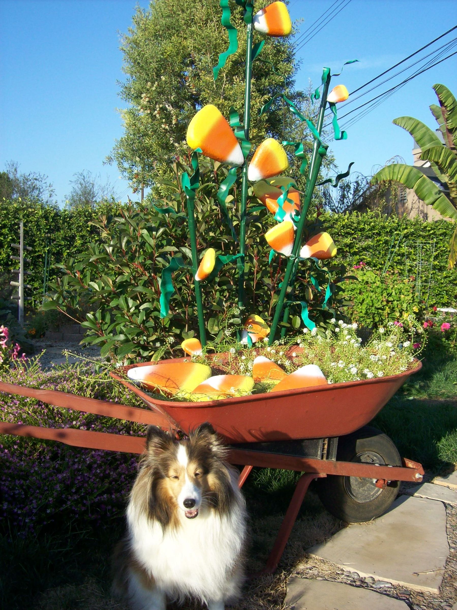Candy Corn : 9 Steps (with Pictures) - Instructables