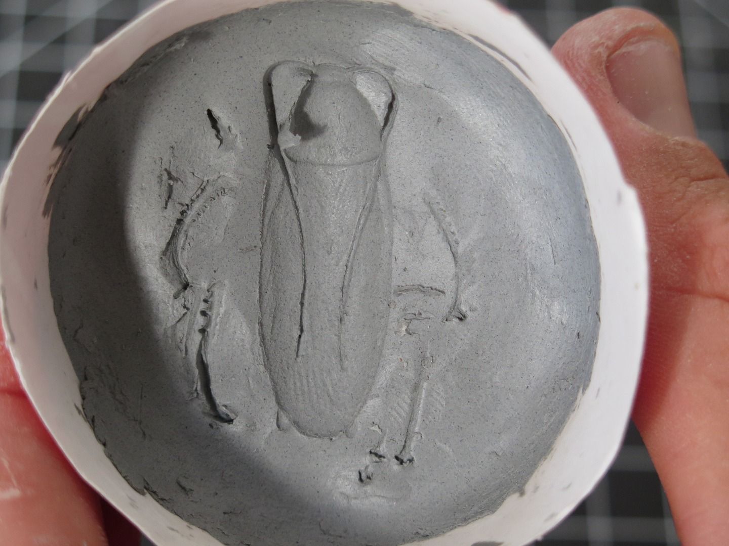 Homemade Fossils! : 5 Steps (with Pictures) - Instructables