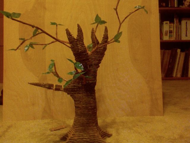 Large Cardboard Trees