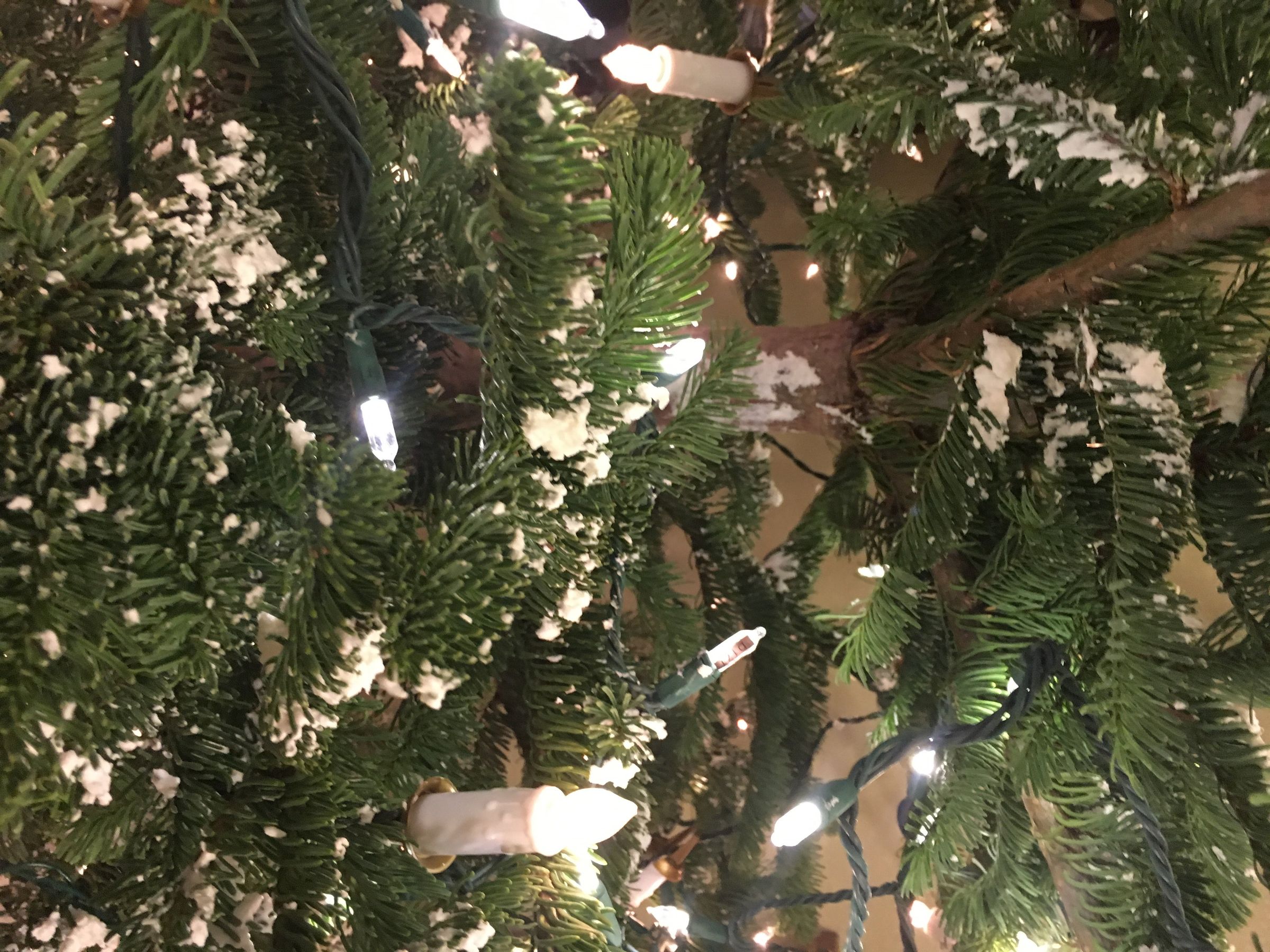 Snow Flocking Christmas Tree's : 4 Steps (with Pictures) - Instructables