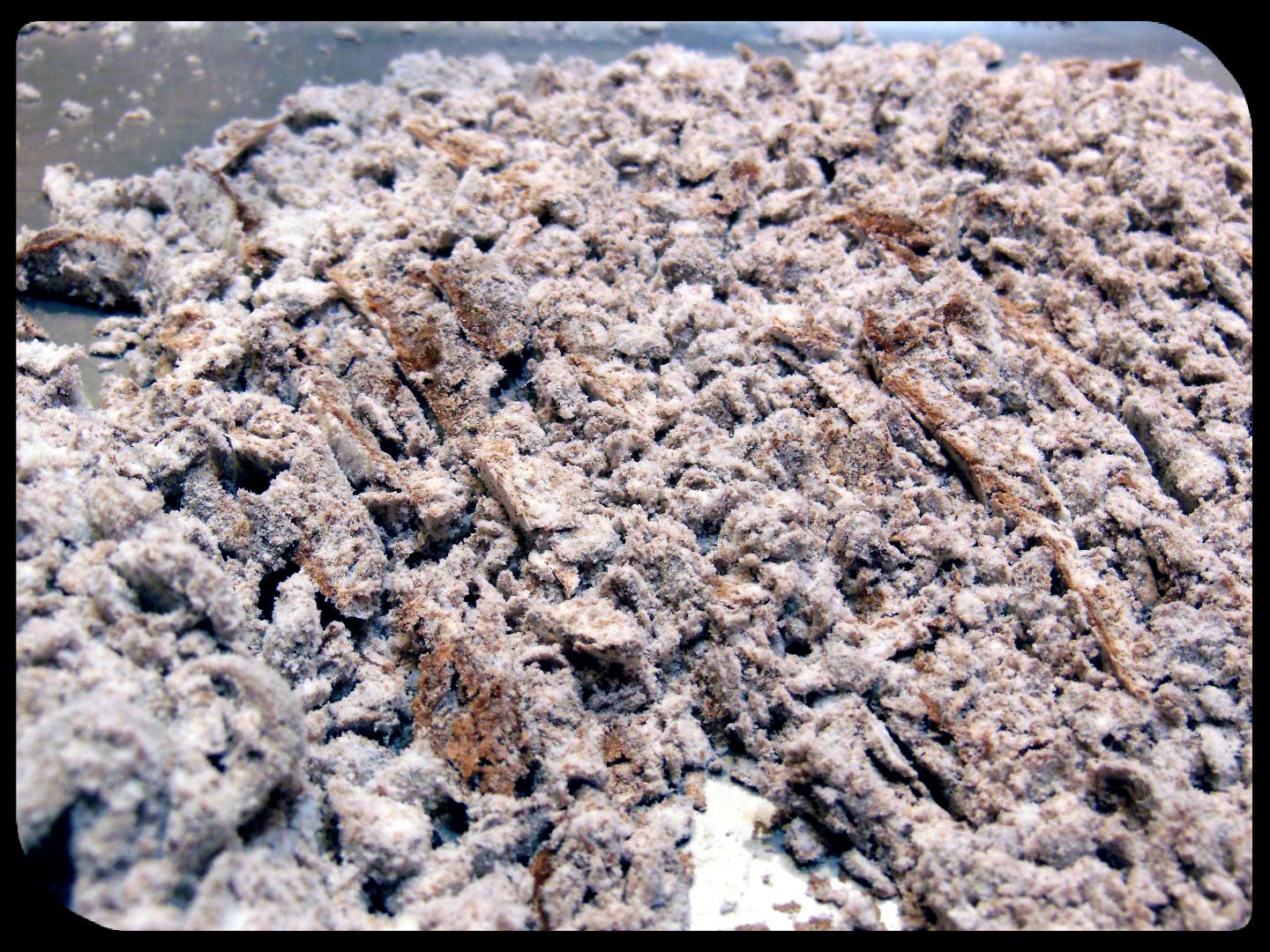 Nutella Powder : 5 Steps (with Pictures) - Instructables