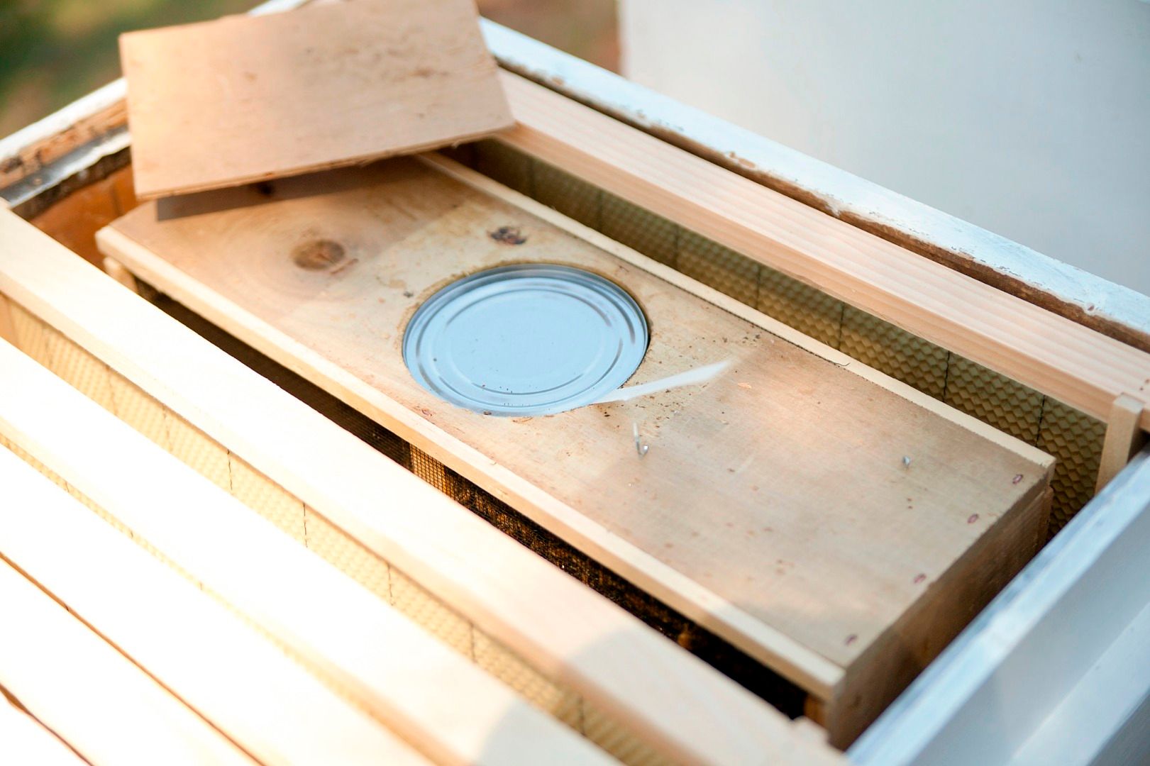 Start a Back Yard Honey Bee Hive : 10 Steps (with Pictures) - Instructables