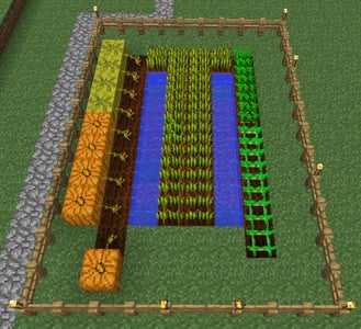 Farming in Minecraft : 10 Steps (with Pictures) - Instructables