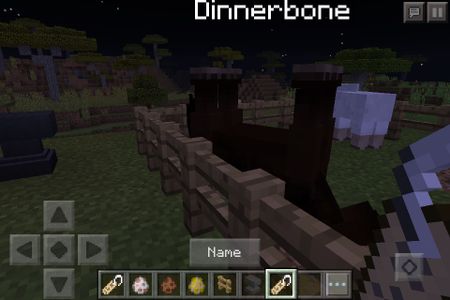 Minecraft Nametag Secrets : 4 Steps - Instructables