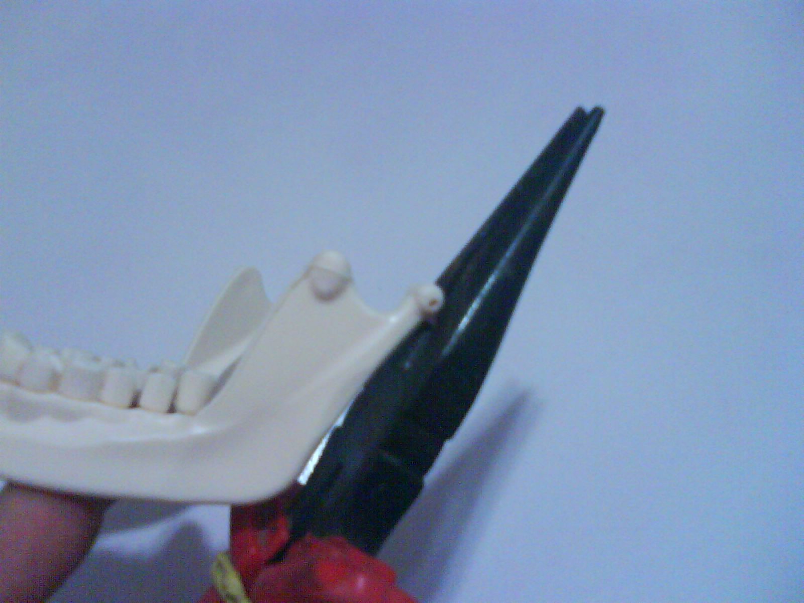 Interactive Skull : 9 Steps (with Pictures) - Instructables