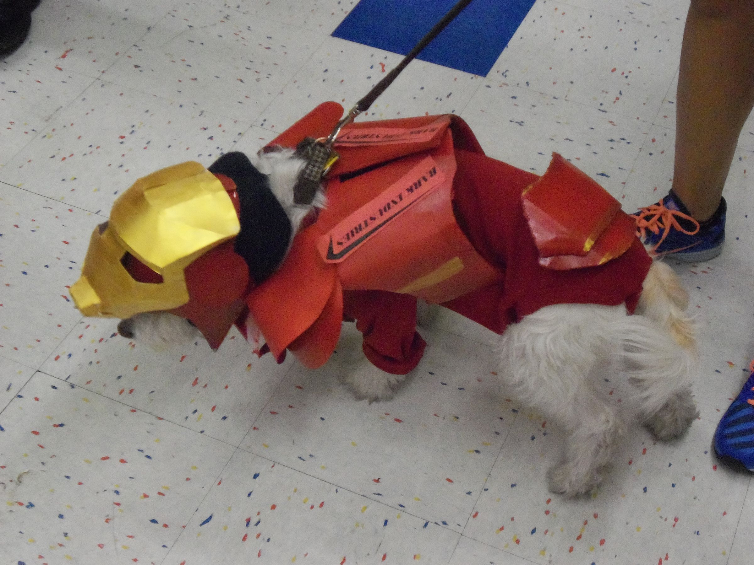 Ironman Dog : 3 Steps - Instructables