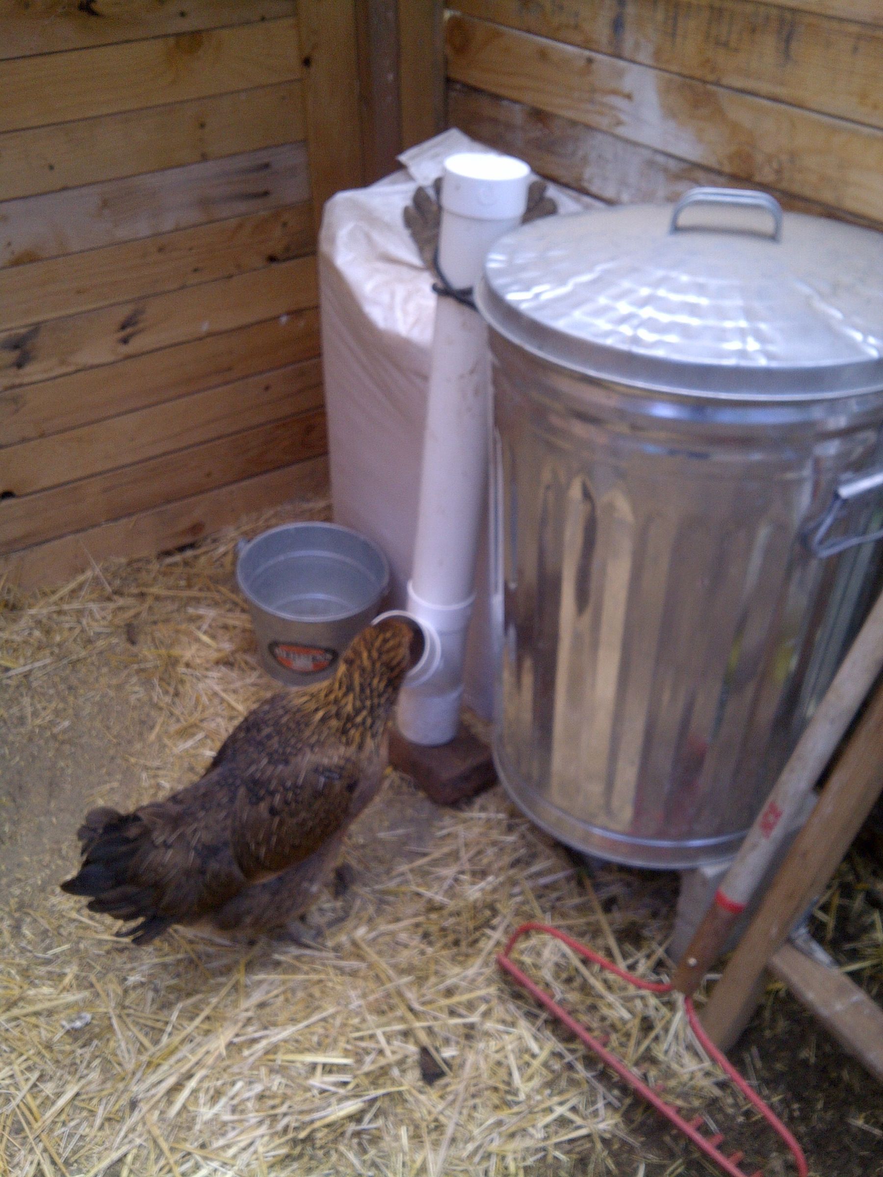 PVC Chicken Feeder : 4 Steps (with Pictures) - Instructables