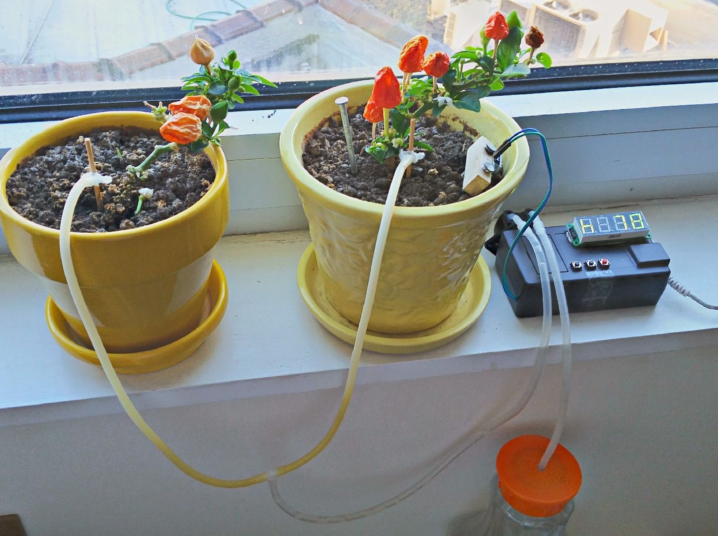 APIS - Automated Plant Irrigation System : 12 Steps (with Pictures ...