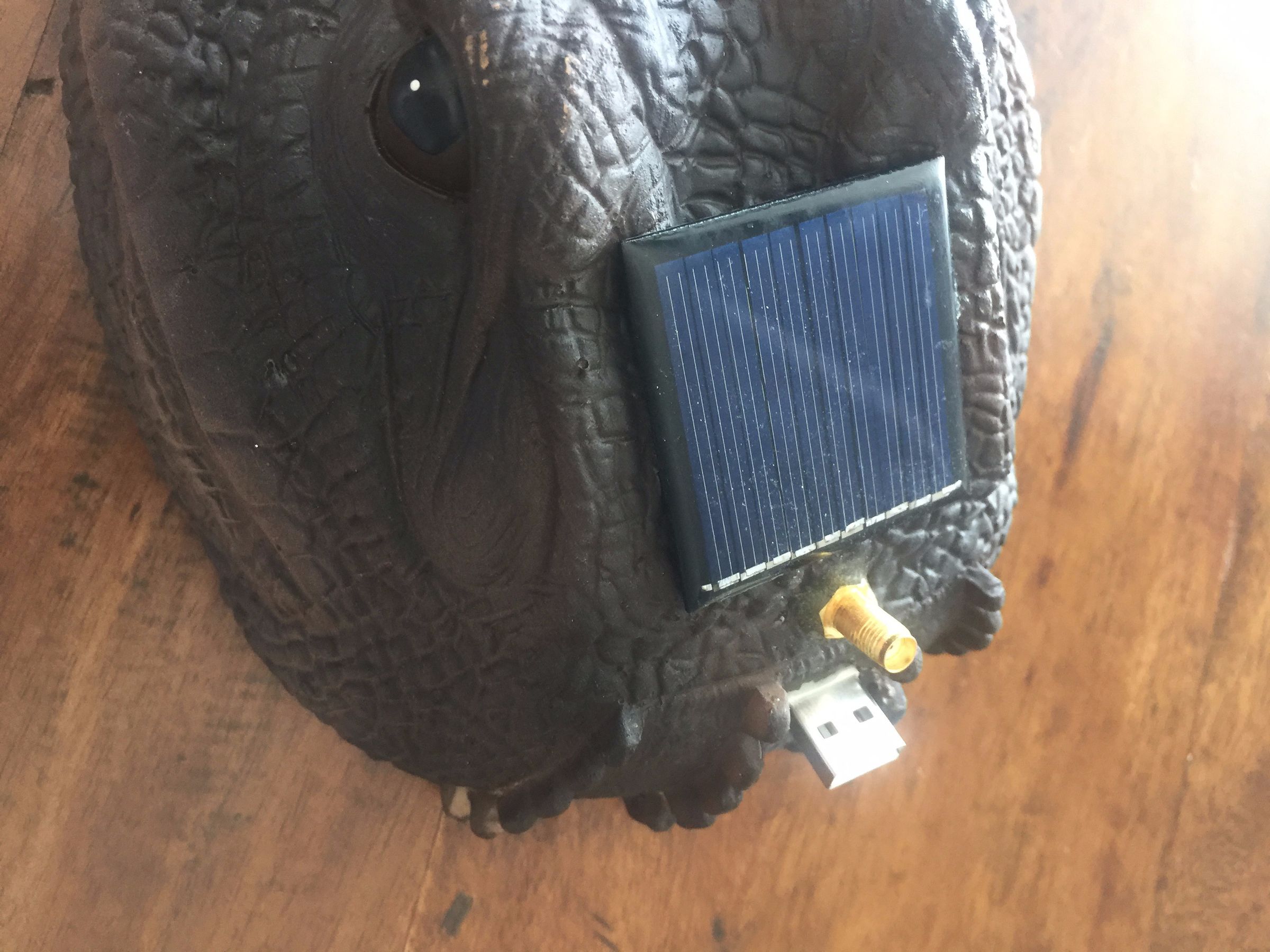 Crocodile Solar Pool Sensor : 7 Steps (with Pictures) - Instructables