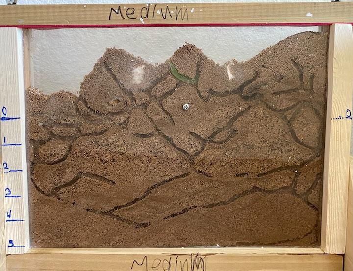 Amazing Ant Farm : 14 Steps (with Pictures) - Instructables