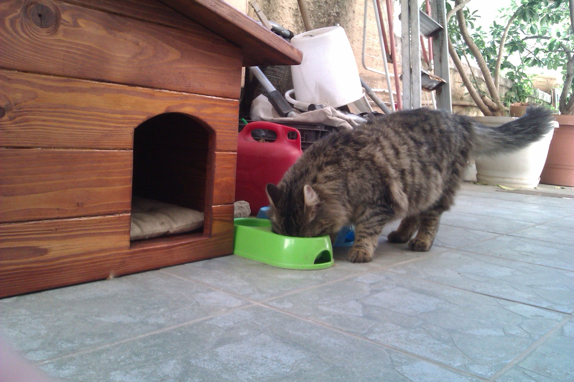 House for a Stray Cat : 4 Steps (with Pictures) - Instructables