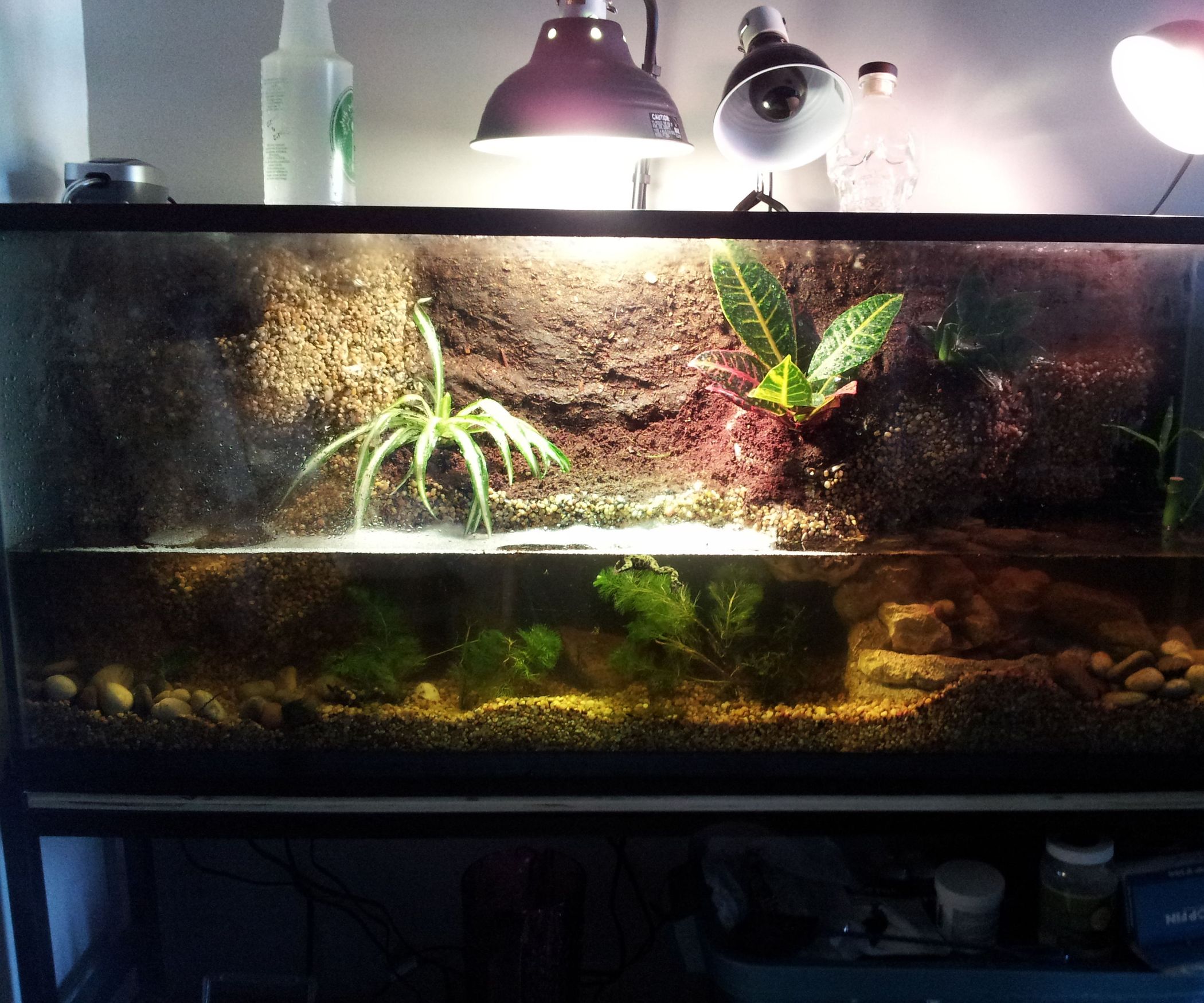 Paludarium/Terrarium Build : 12 Steps - Instructables