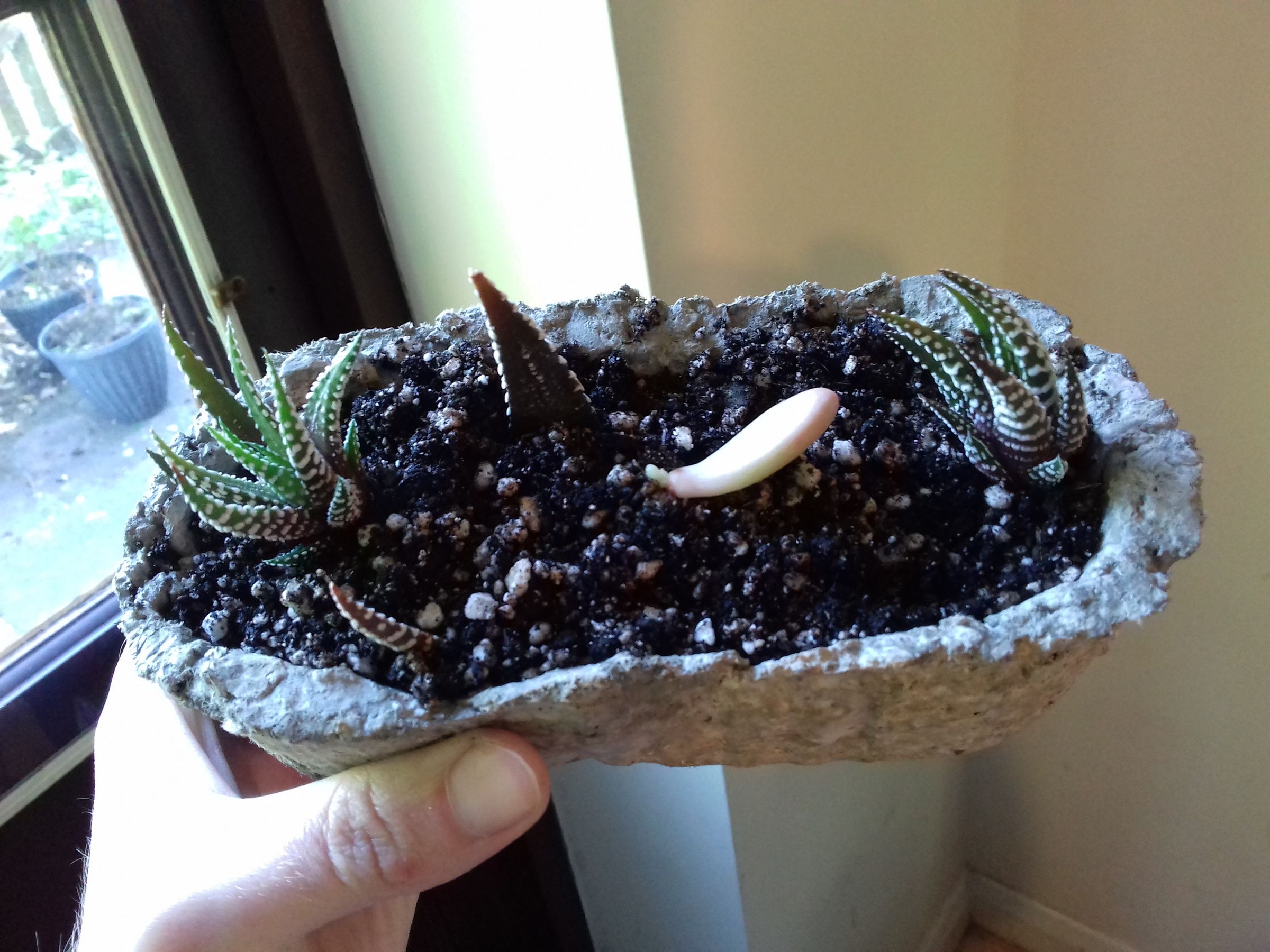 Earth-friendly Creating With Papercrete : 6 Steps (with Pictures ...