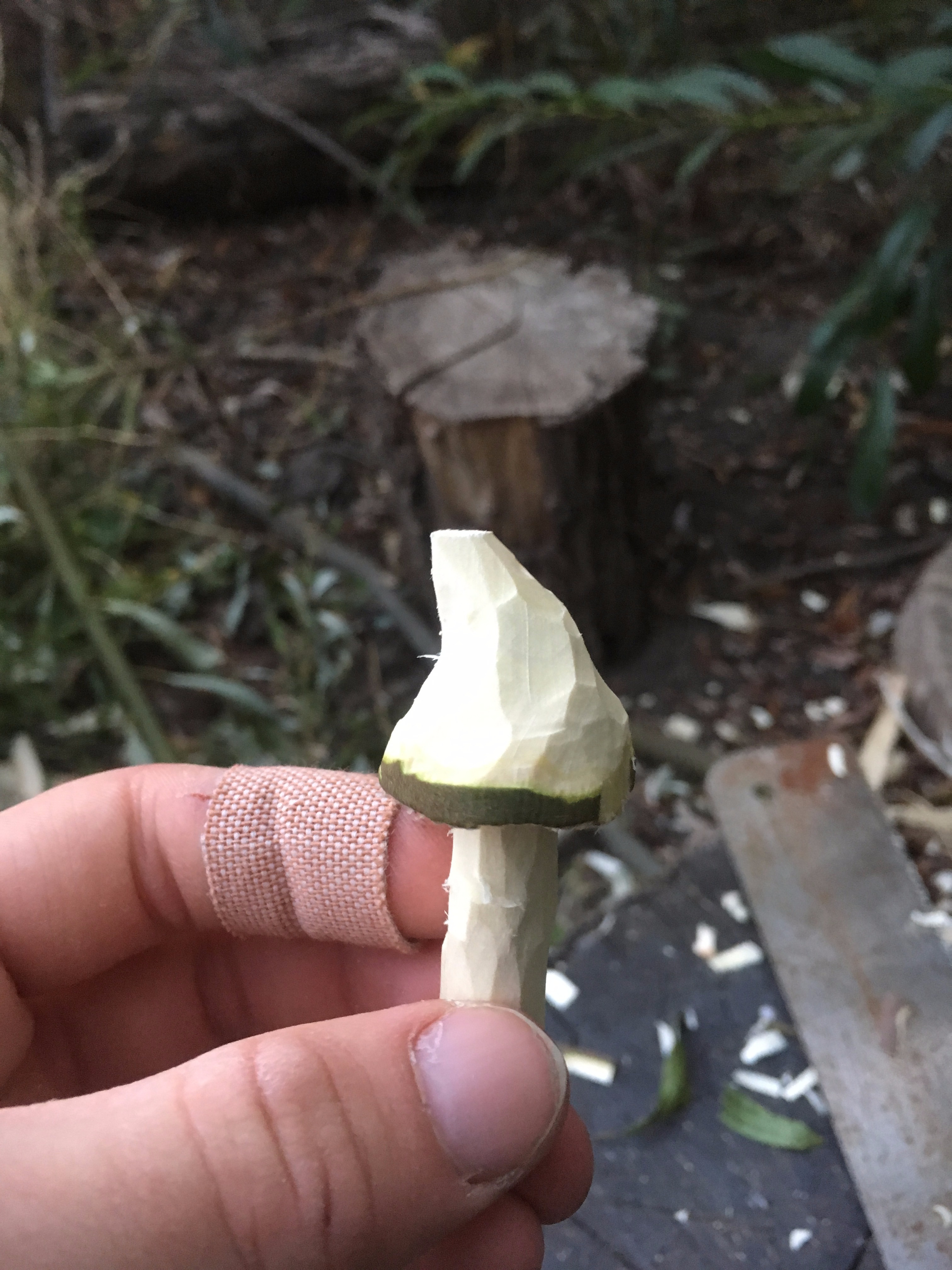 5 Super-easy Branch Carving Projects : 10 Steps (with Pictures ...