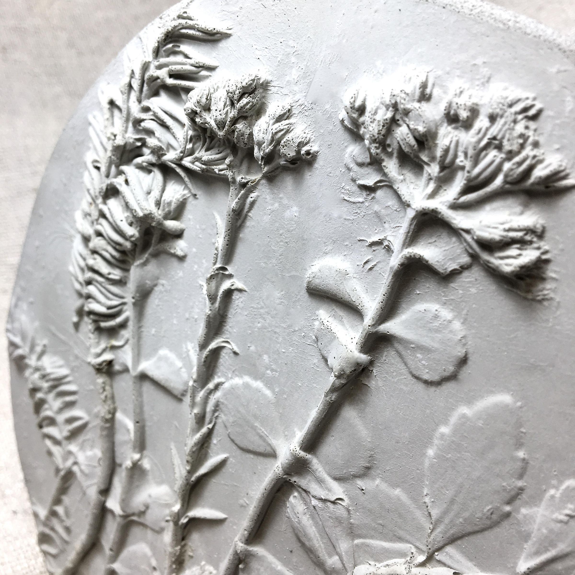 Concrete Relief-Cast Botanical Specimens : 6 Steps (with Pictures ...