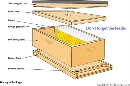 Nucleus Colony -or- How to Start a Beehive : 8 Steps (with Pictures ...