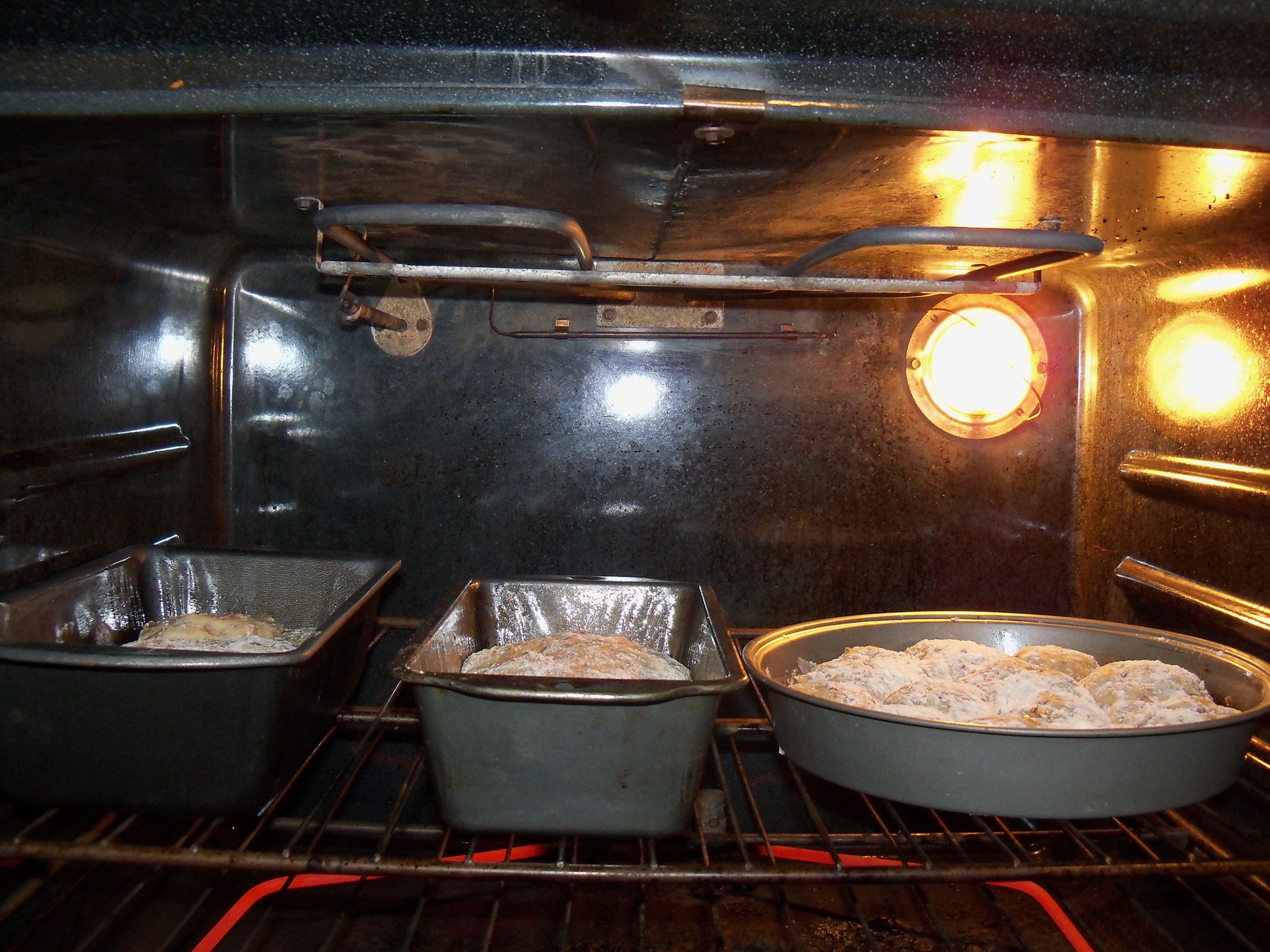 Amazing (and Easy!) Bread From Spent Grains : 8 Steps (with Pictures ...